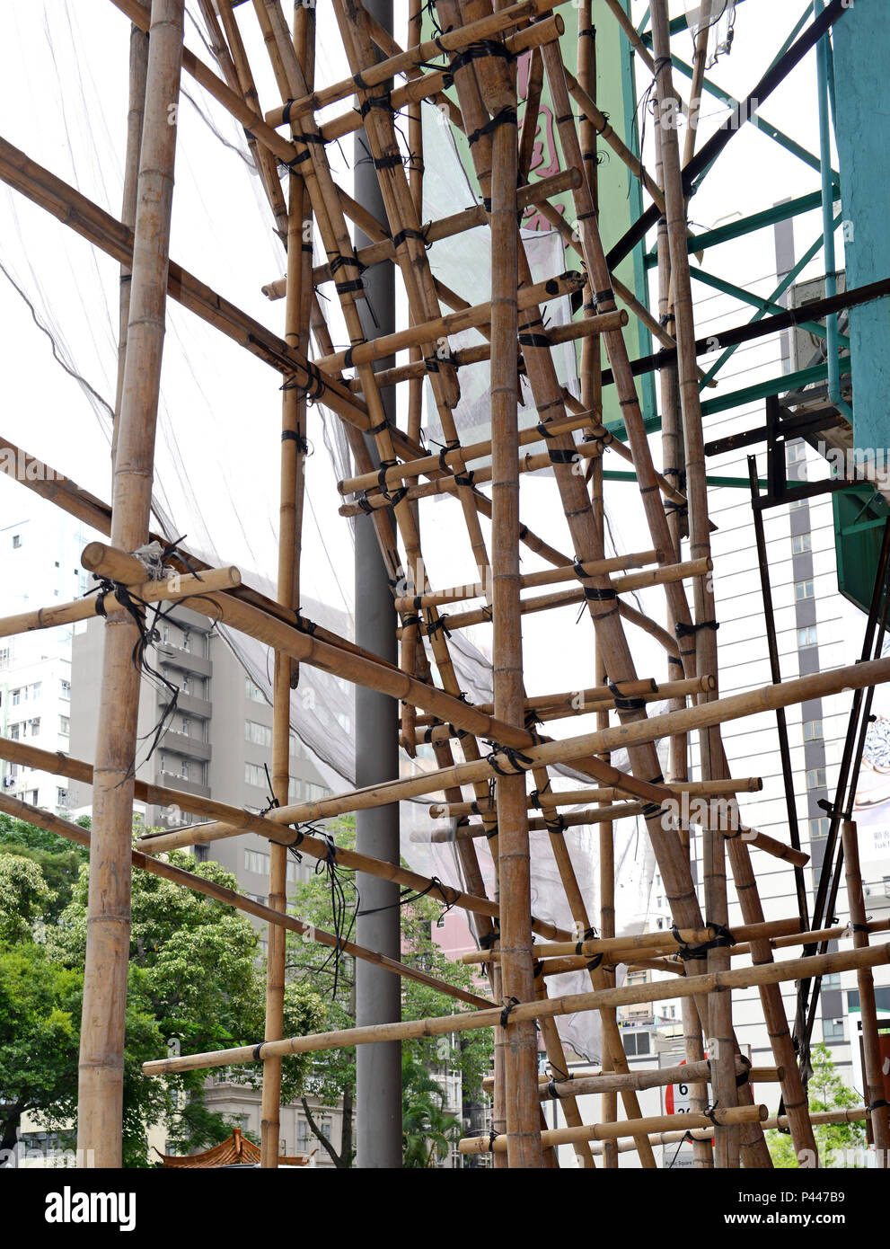 In Hong Kong and China and other parts of Asia, bamboo is often used ...