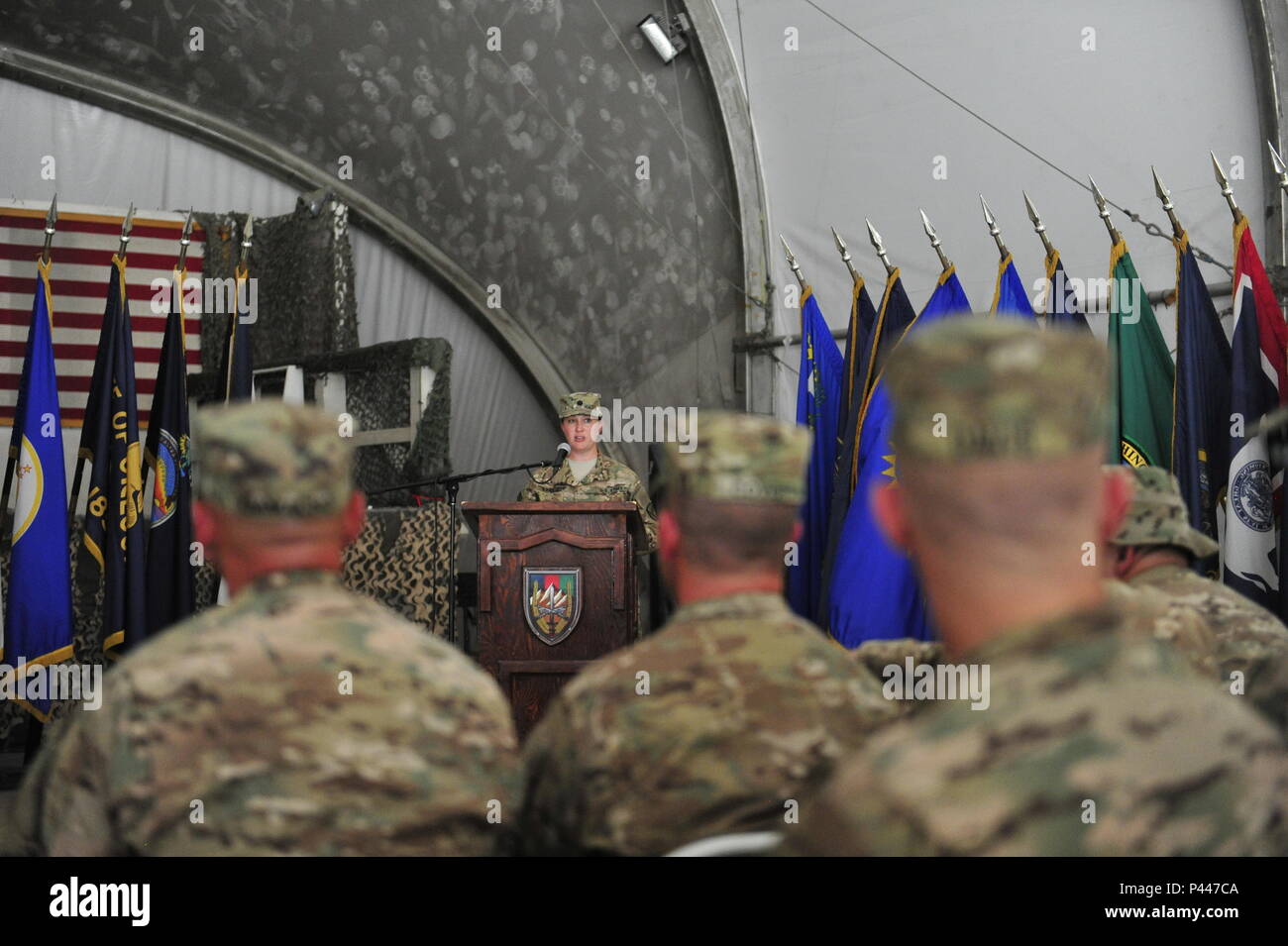 Task Force Longhorn, the 303rd Military Intelligence Battalion ...