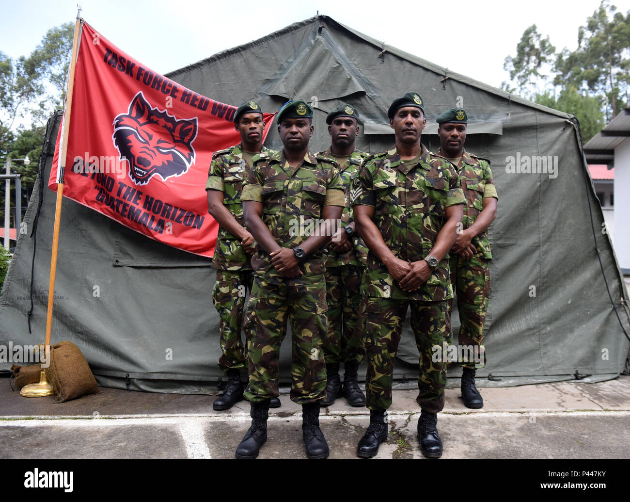 Quow hi-res stock photography and images - Alamy