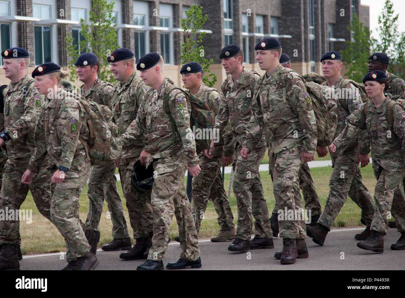 Royal logistic corps hi-res stock photography and images - Alamy