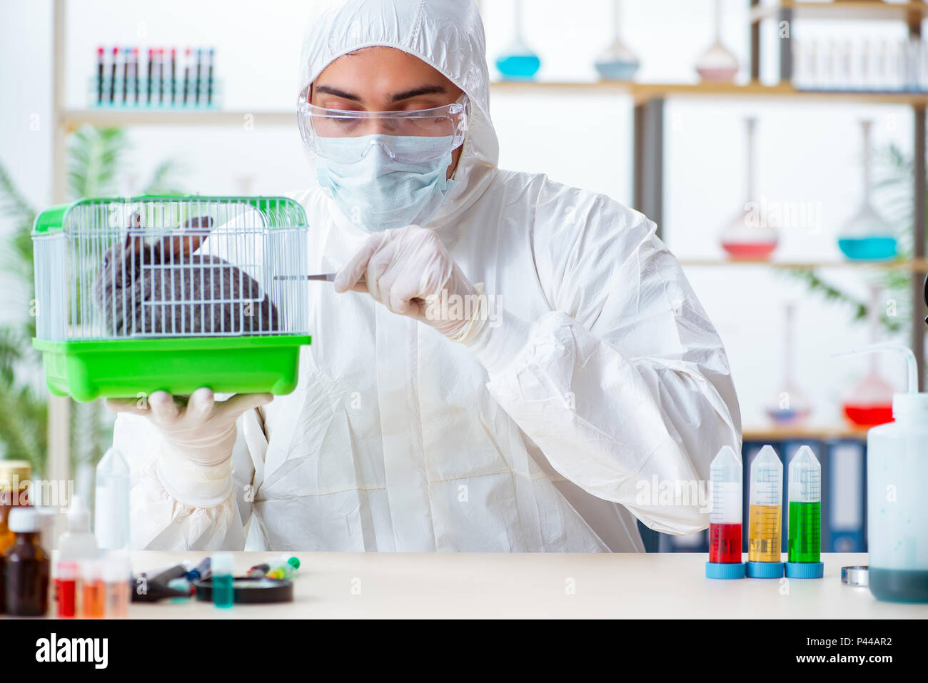 Scientist experimenting on animals hi-res stock photography and images ...