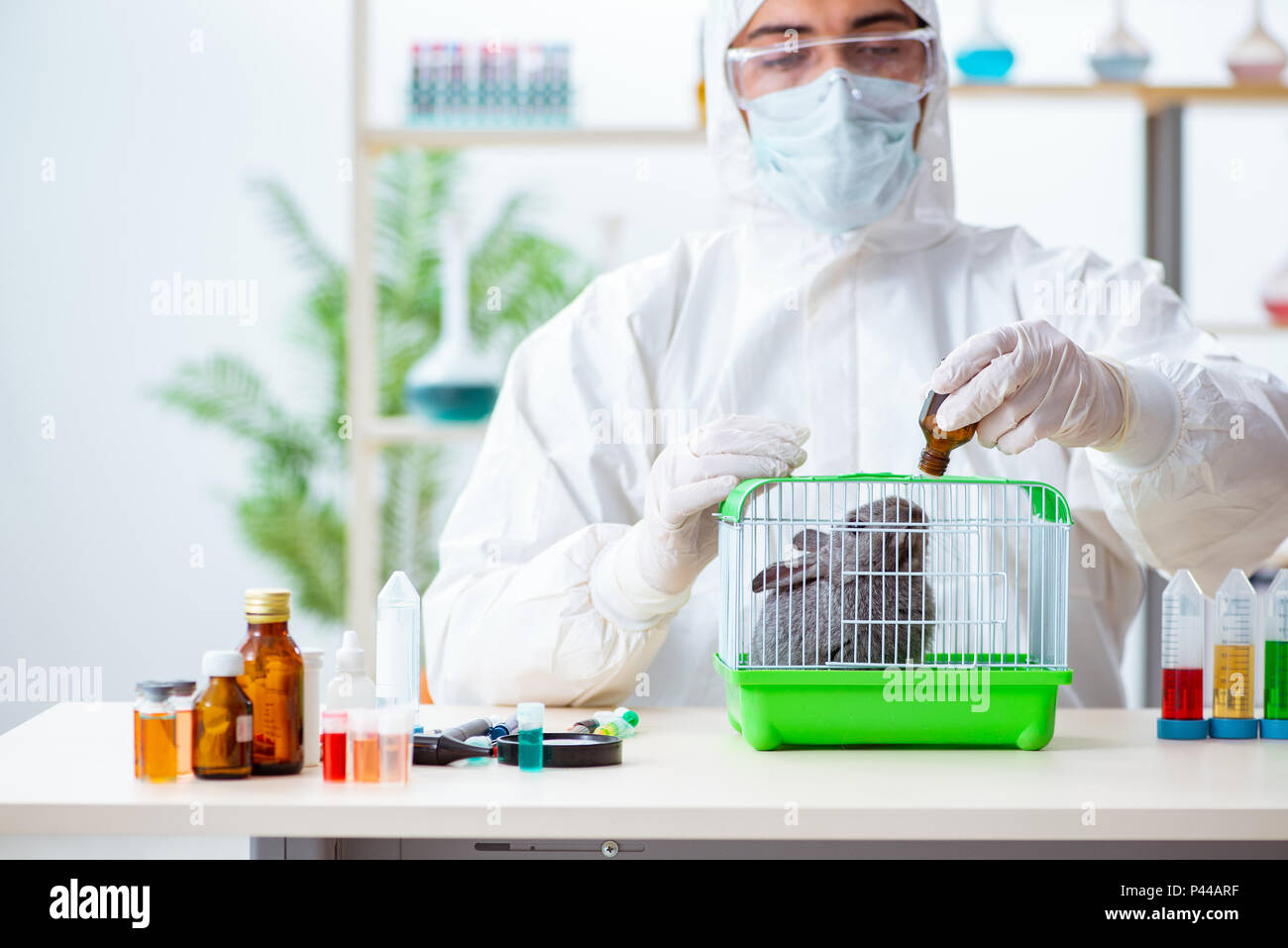 Scientist doing testing on animals rabbit Stock Photo - Alamy