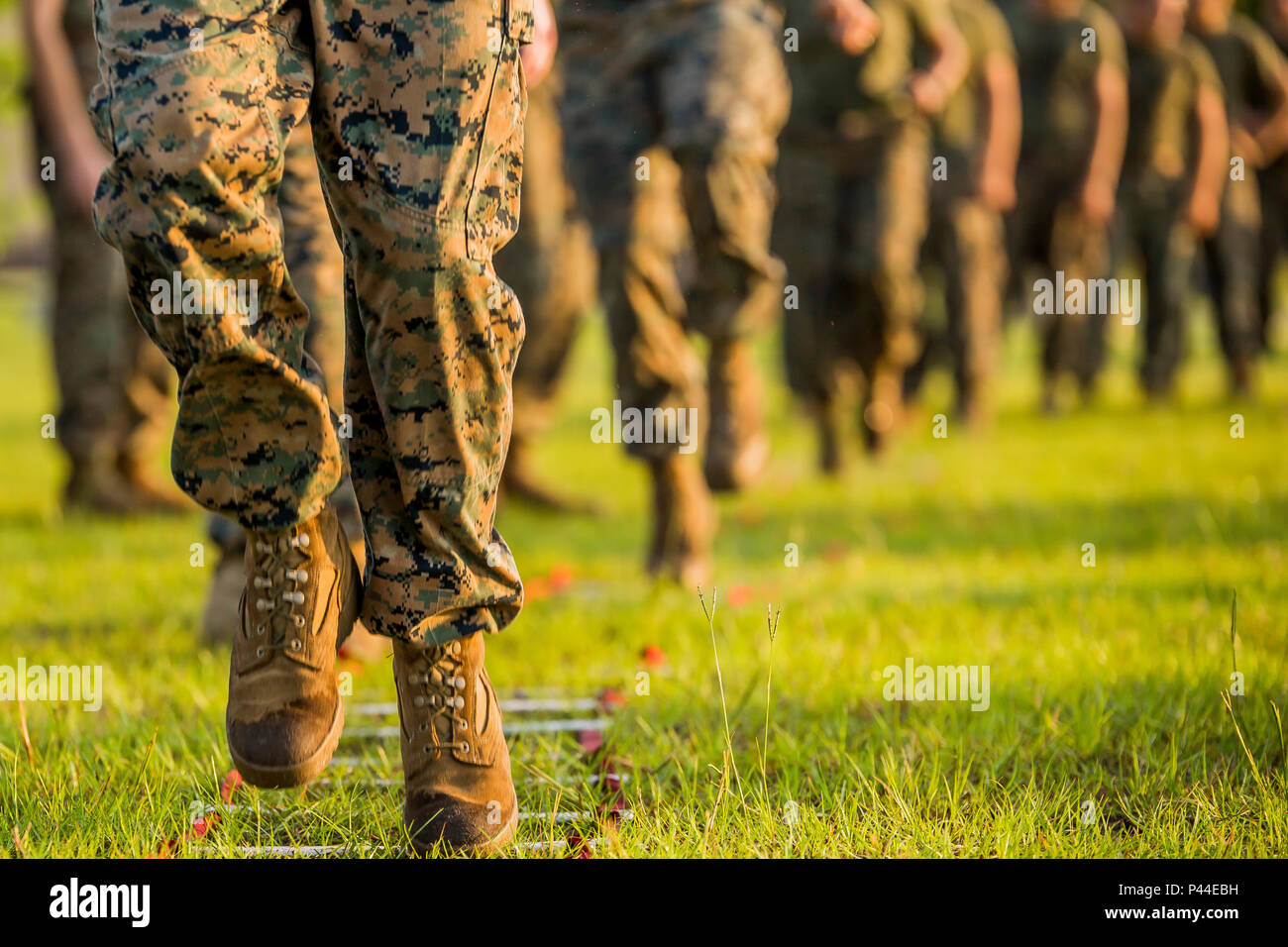 Marines execute a High Intensity Tactical Training exercise during the ...