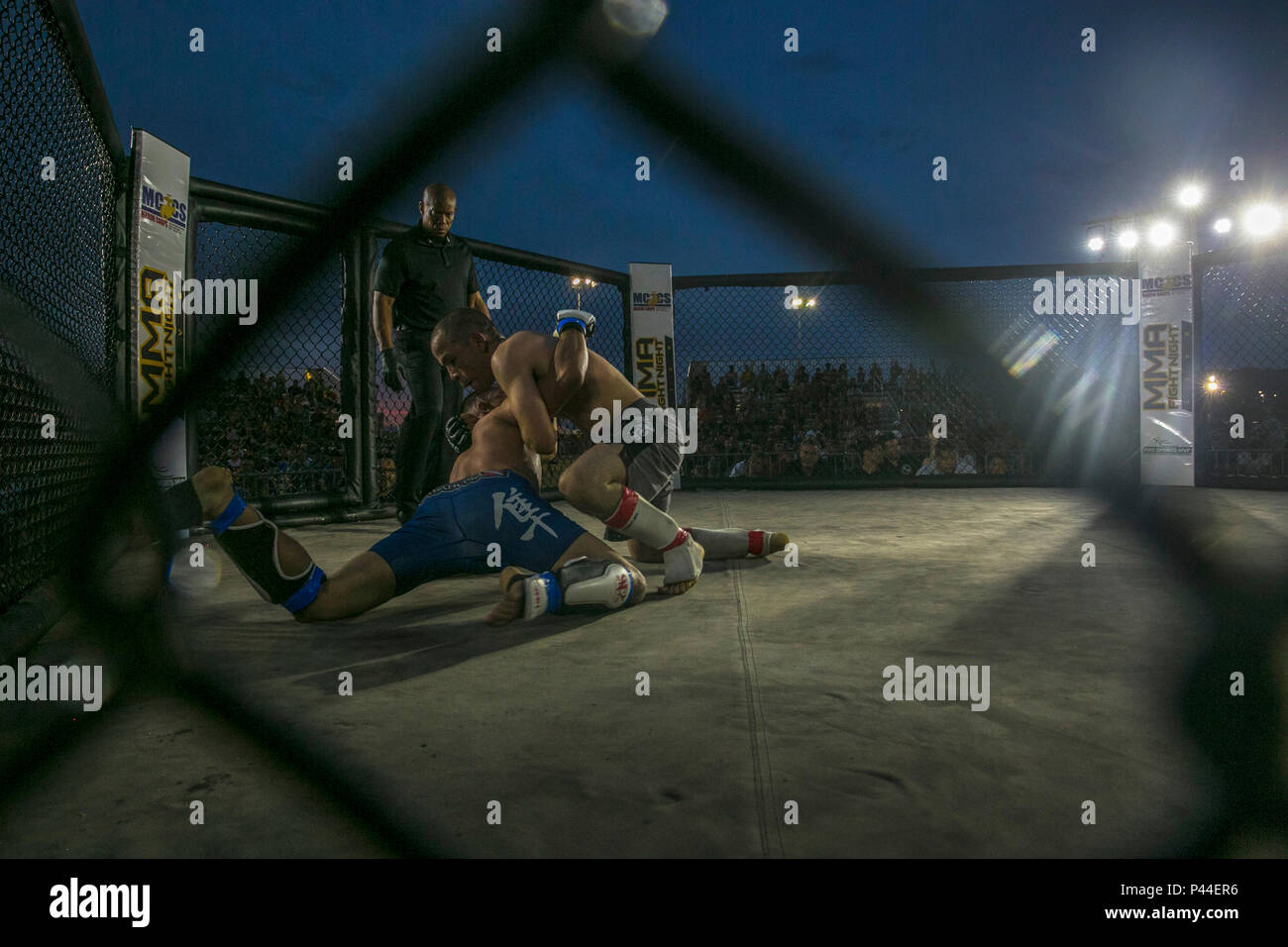 Dave forrest hi-res stock photography and images - Alamy