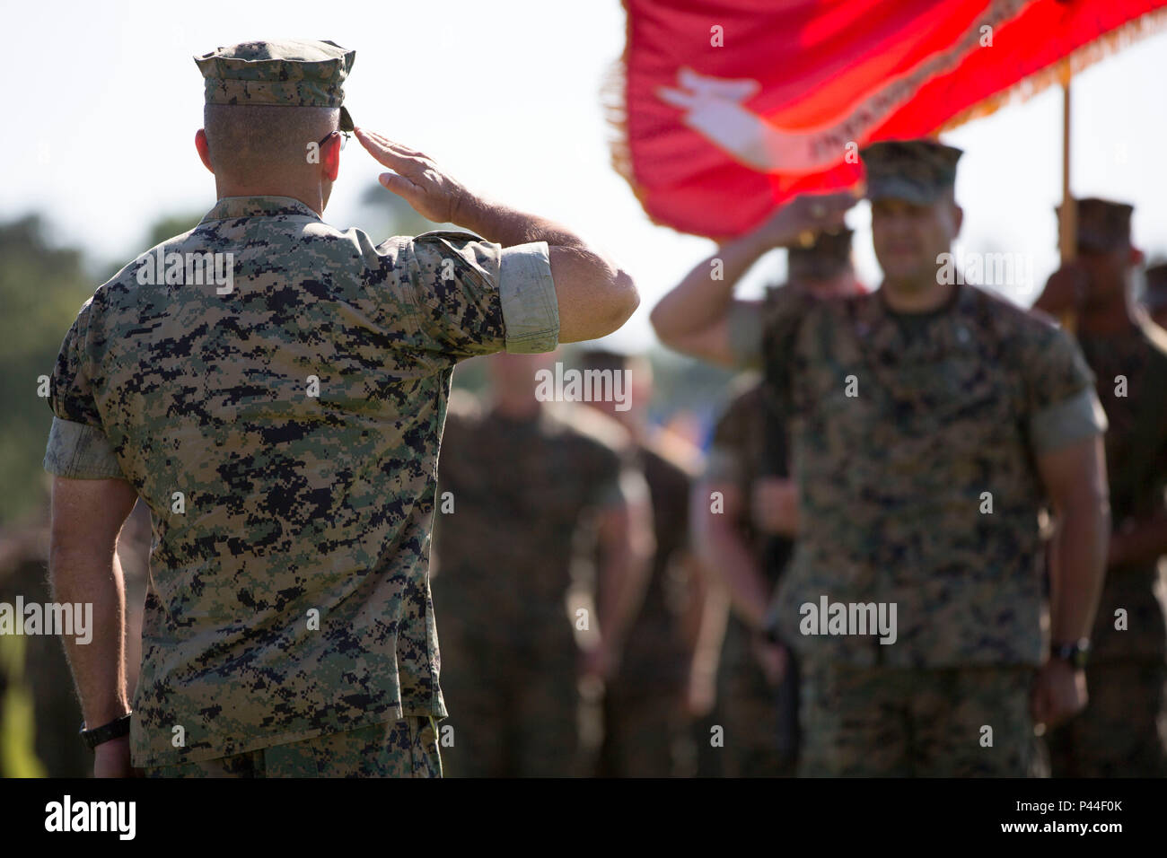U.S. Marine Col. Steven M. Wolf, the Commanding Officer of the School ...