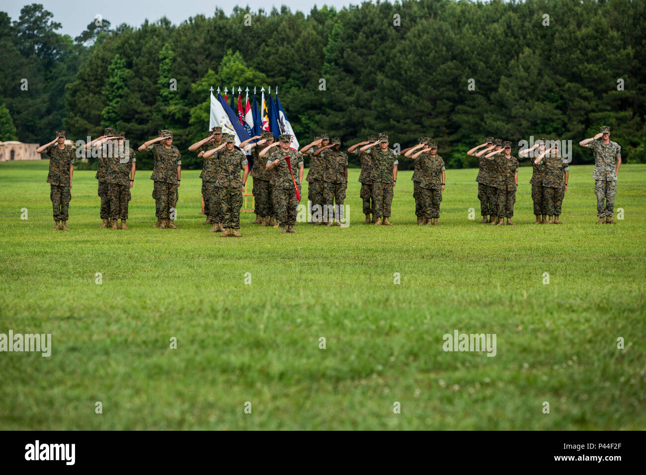 U.S. Marines with Marine Combat Training (MCT) Battalion, School of ...