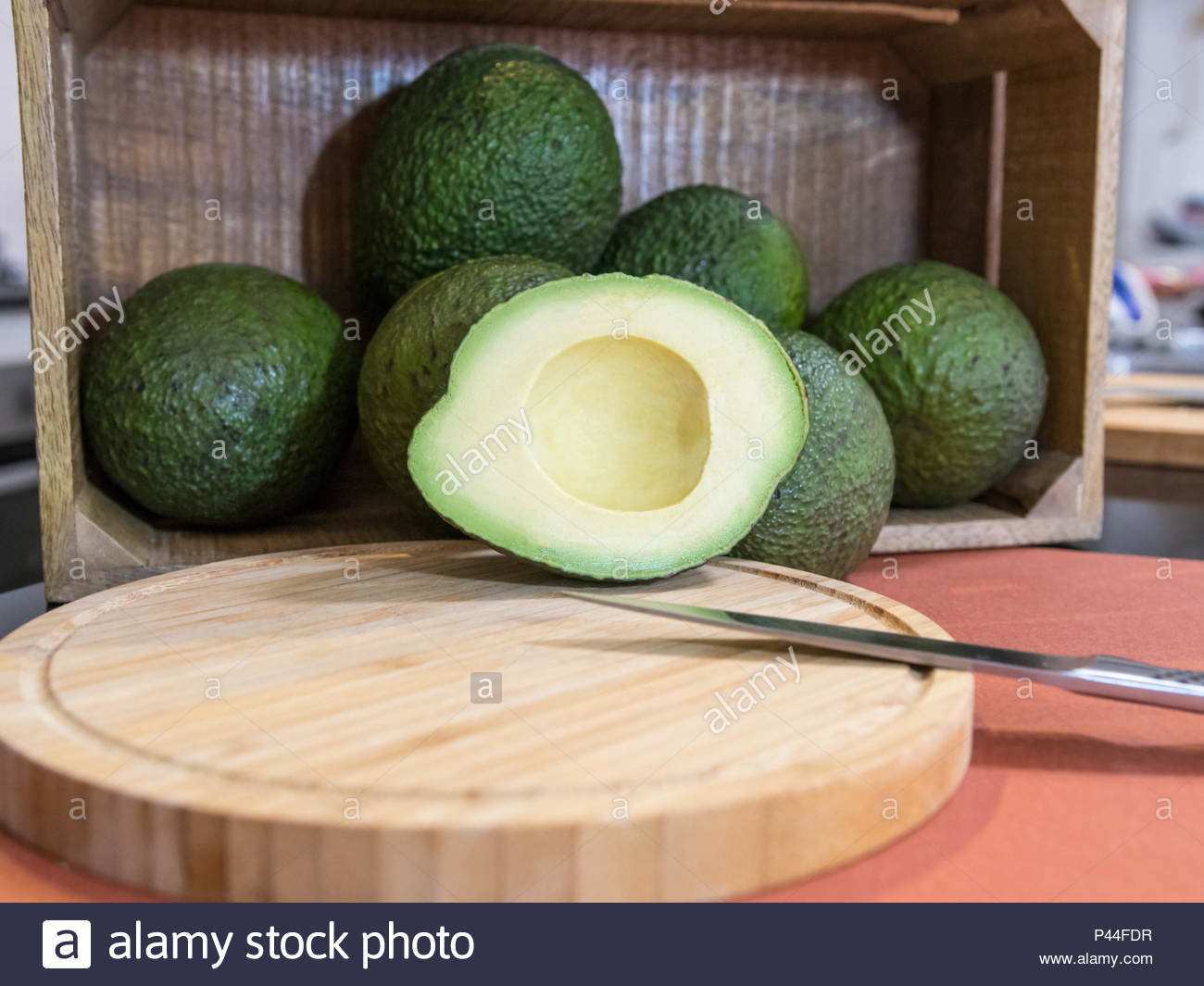 Avocado Hass Plant High Resolution Stock Photography and Images - Alamy