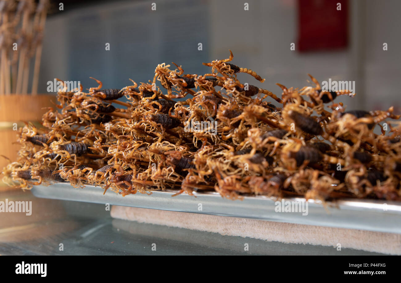 Fried delicious scorpions on the stick ready to be eaten on the snack ...
