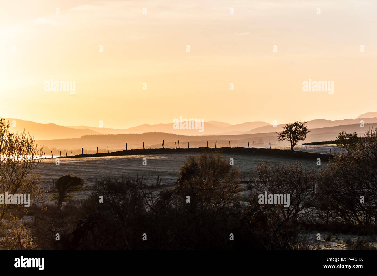 Misty chilly morning in County Donegal, Ireland Stock Photo - Alamy