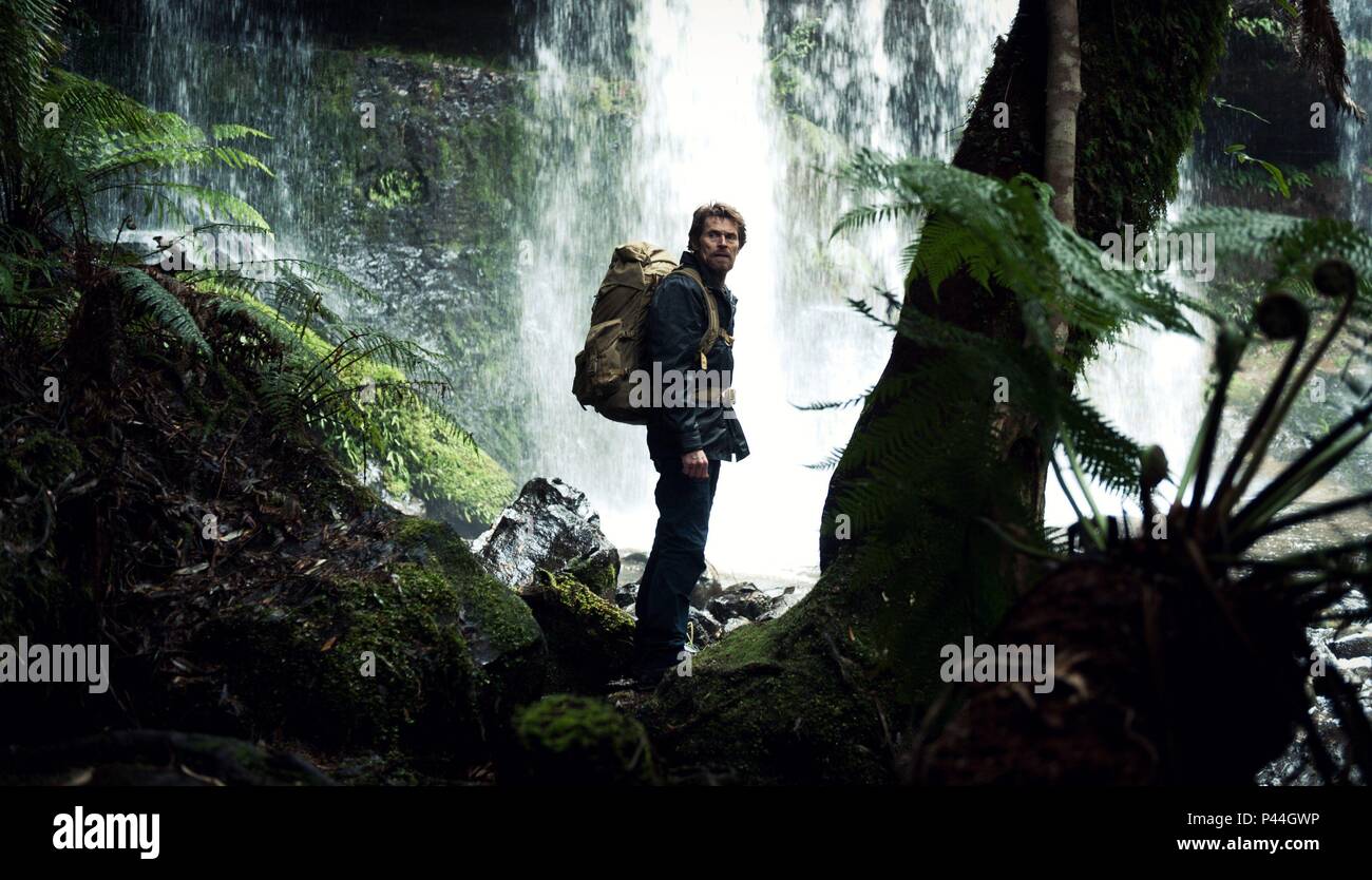 Original Film Title: THE HUNTER. English Title: THE HUNTER. Film ...