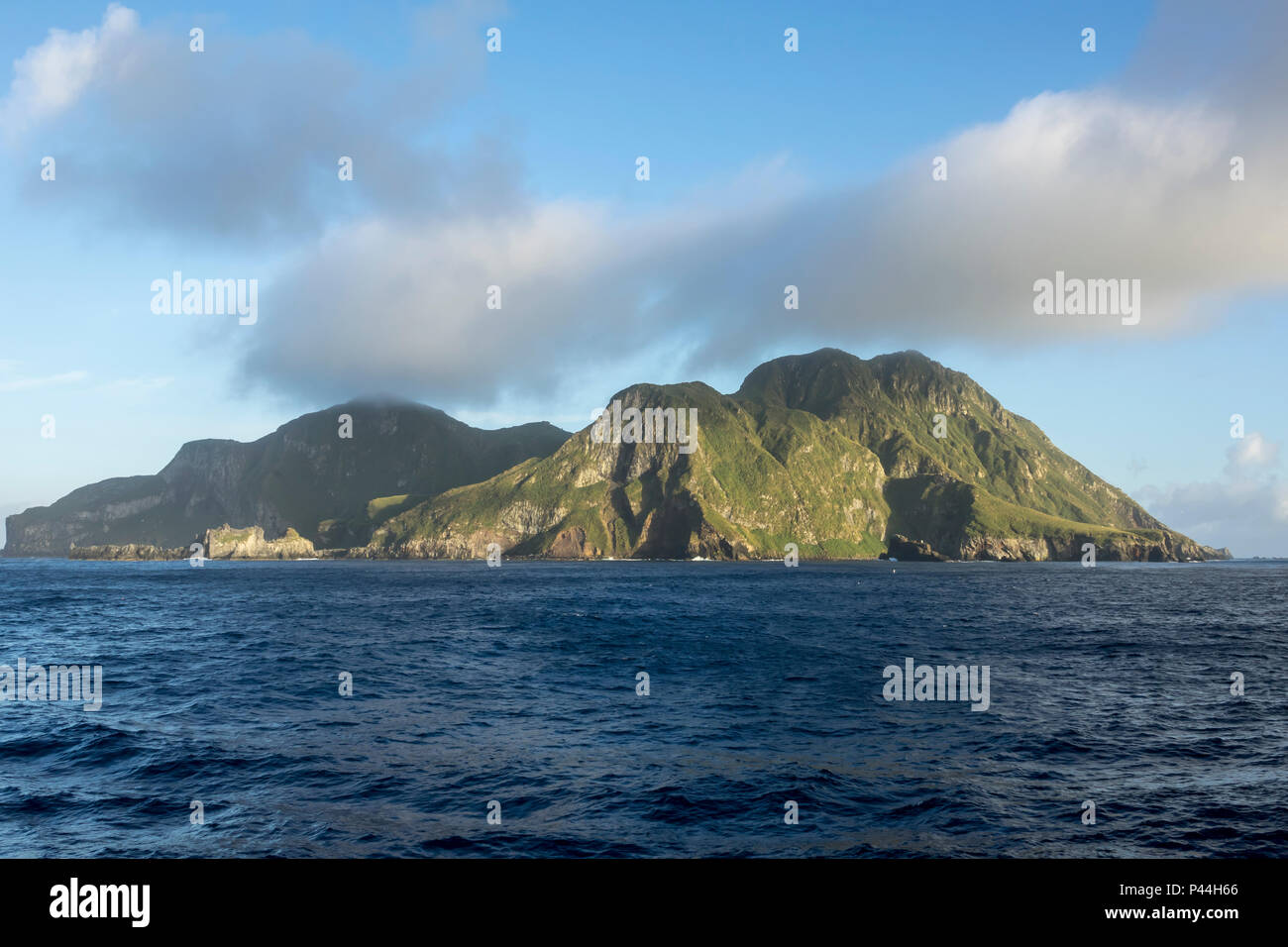 Nightingale Island, British Overseas Territories, South Atlantic Ocean ...