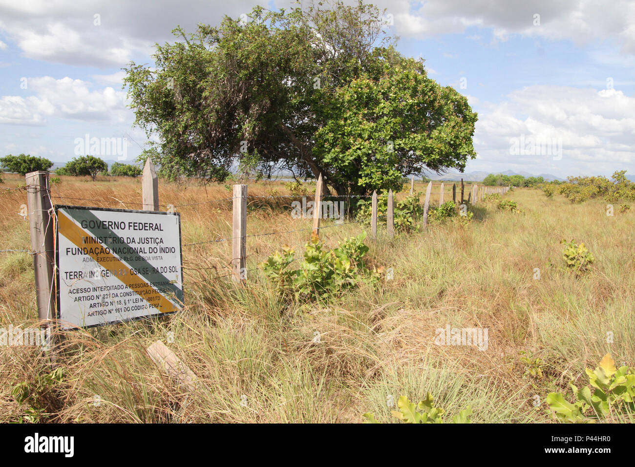 Reserva Indigena Raposa Serra do Sol em Roraima, 20/11/2013. Foto ...