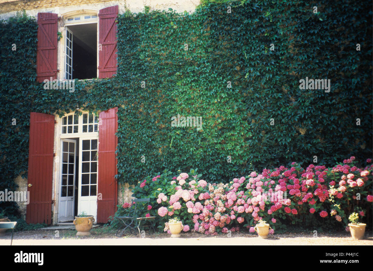 Hydrangeas windows hi-res stock photography and images - Alamy