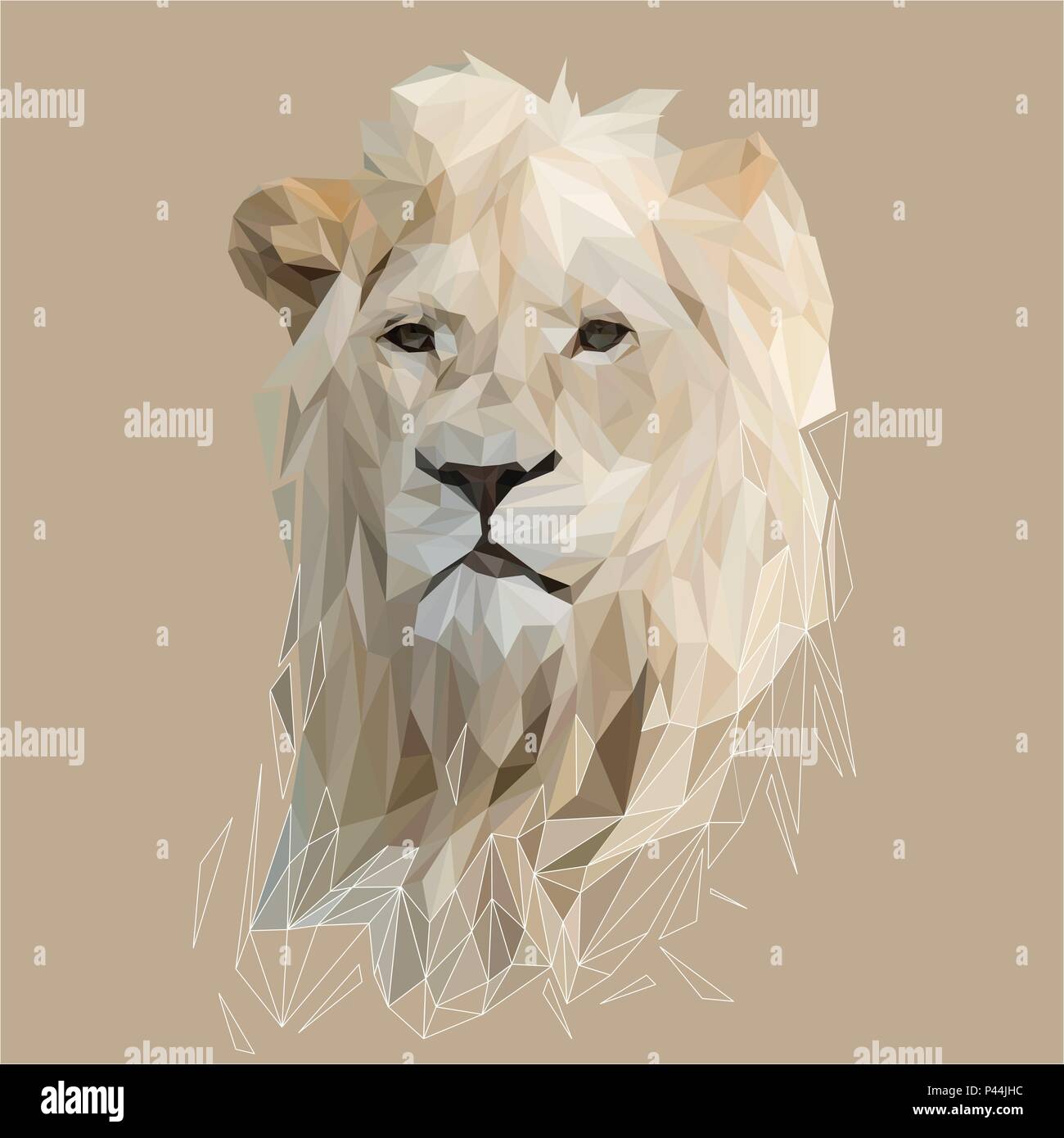 Lion low poly design. Triangle vector illustration Stock Vector Image ...