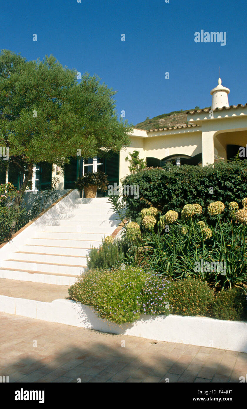 Spanish Style Borders