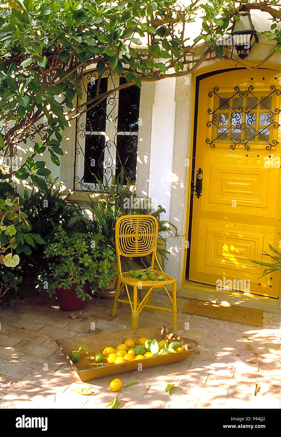 Yellow painted cane chair and tray of lemons and limes beside yellow ...