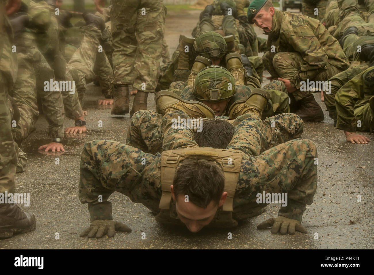 Exercise Saber Strike 16 demonstrates multinational forces moving as a ...
