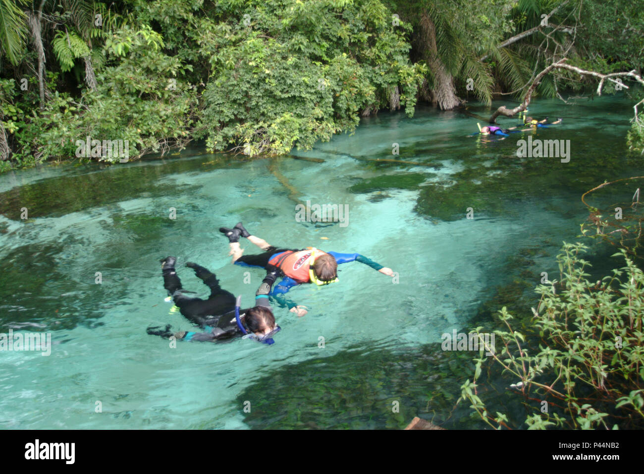 Rio sucuri hi-res stock photography and images - Alamy