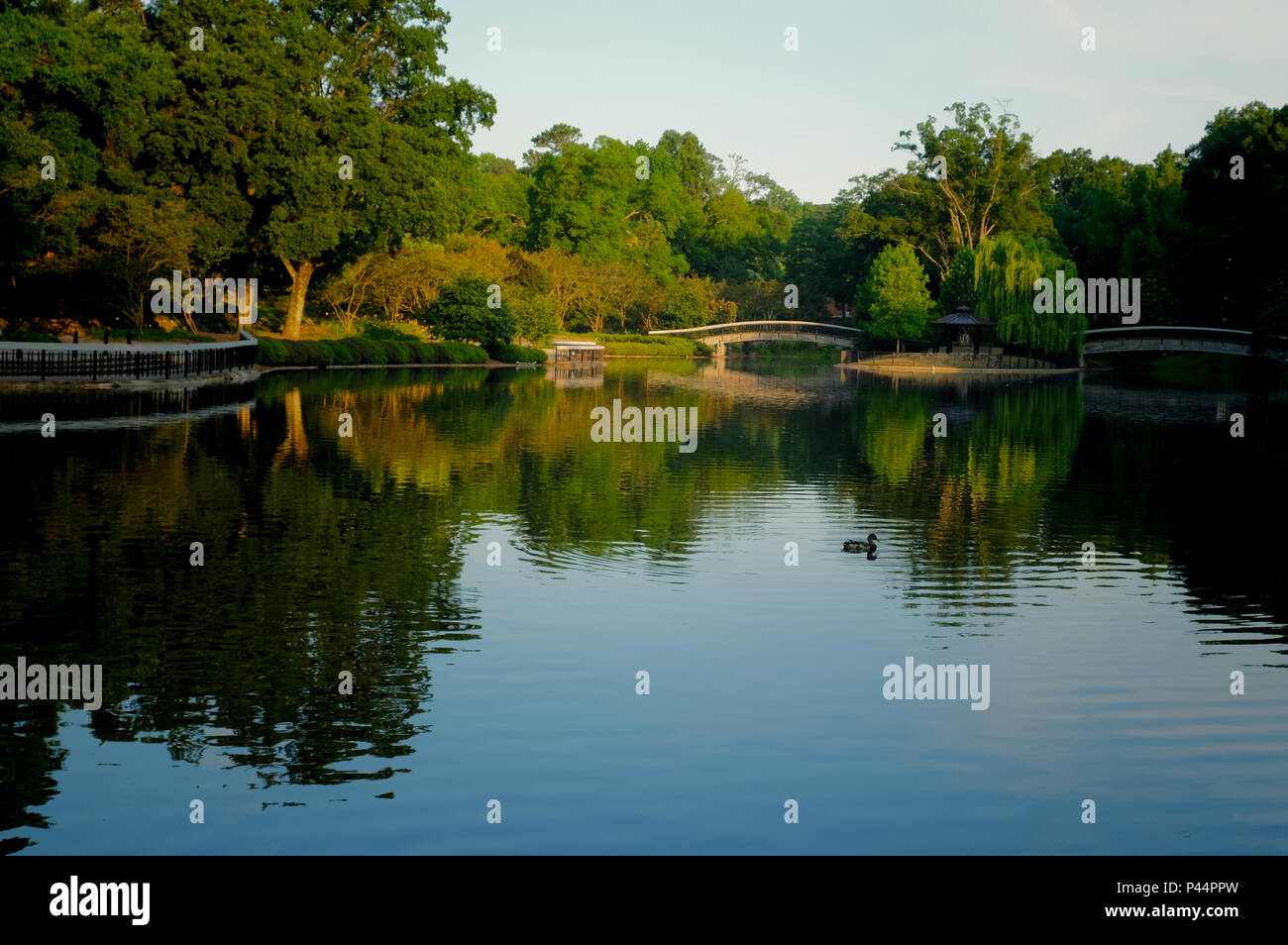 The lake at Pullen Park in downtown Raleigh North Carolina in the early ...