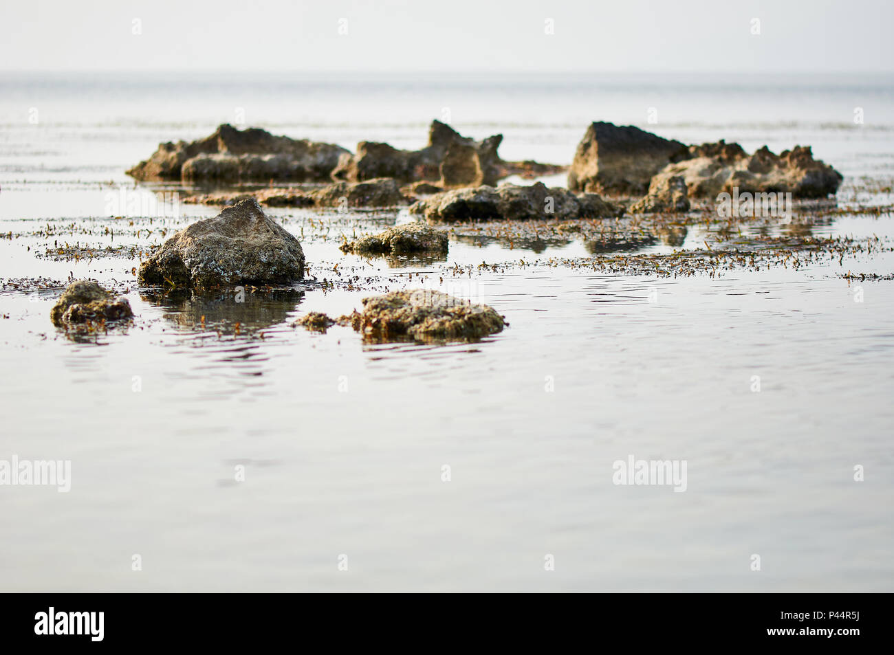 Surface of rocks hi-res stock photography and images - Alamy
