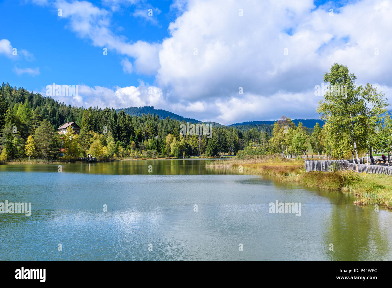 Lake Wildsee at Seefeld in Tirol, Austria - Europe Stock Photo - Alamy