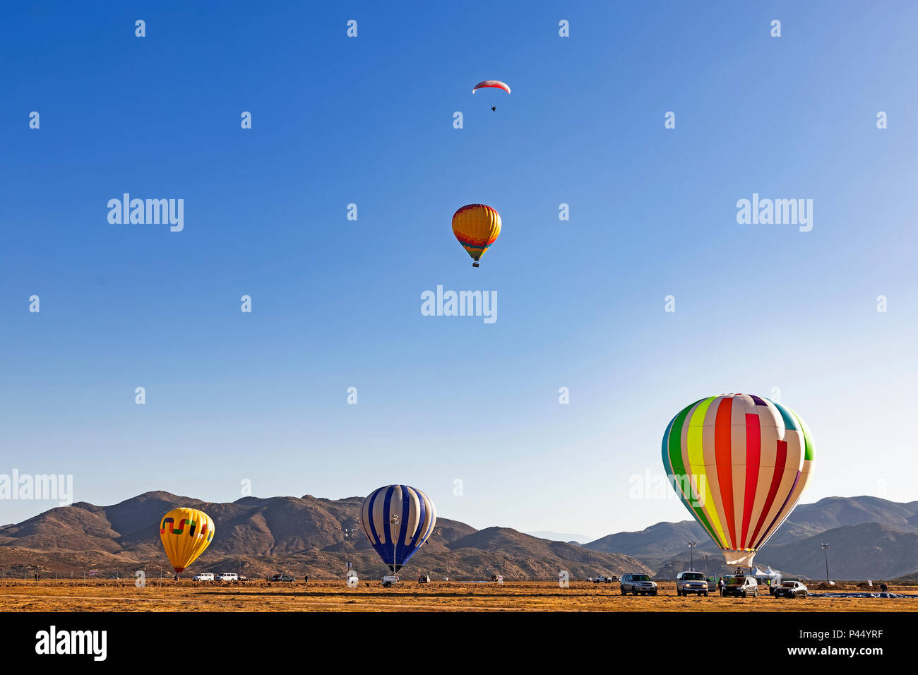 Balloon rides at hot air balloon festival in California Stock Photo - Alamy