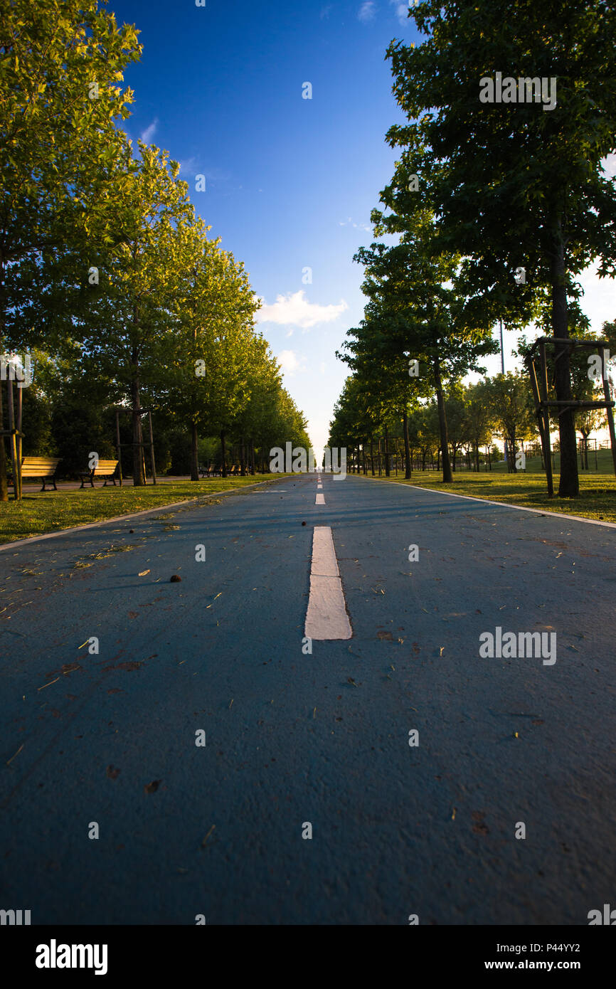 Trees and Road in the Park Stock Photo - Alamy