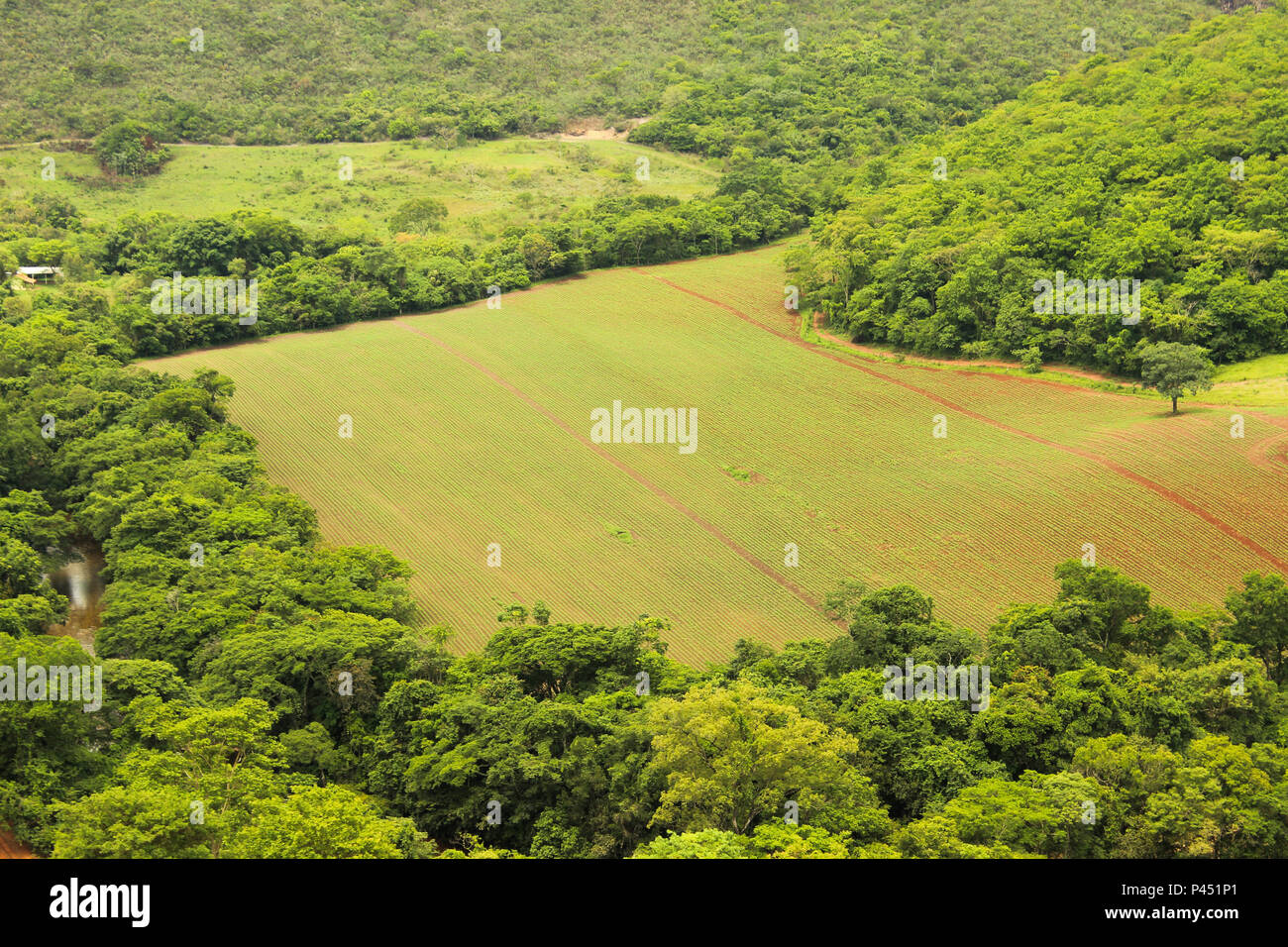área nativa hi-res stock photography and images - Alamy