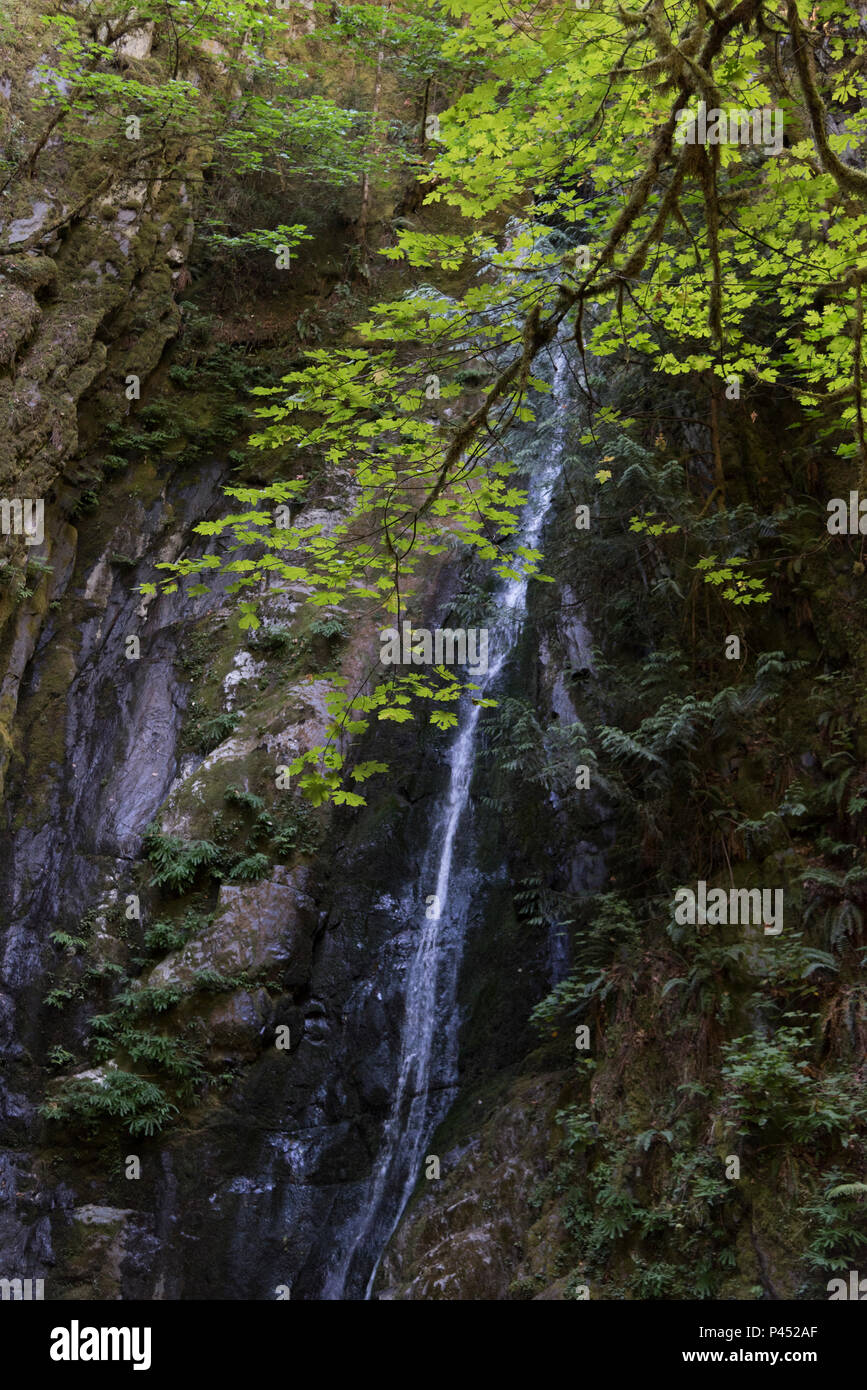 Water falling over rocks, Niagara Falls, Goldstream Provincial Park ...