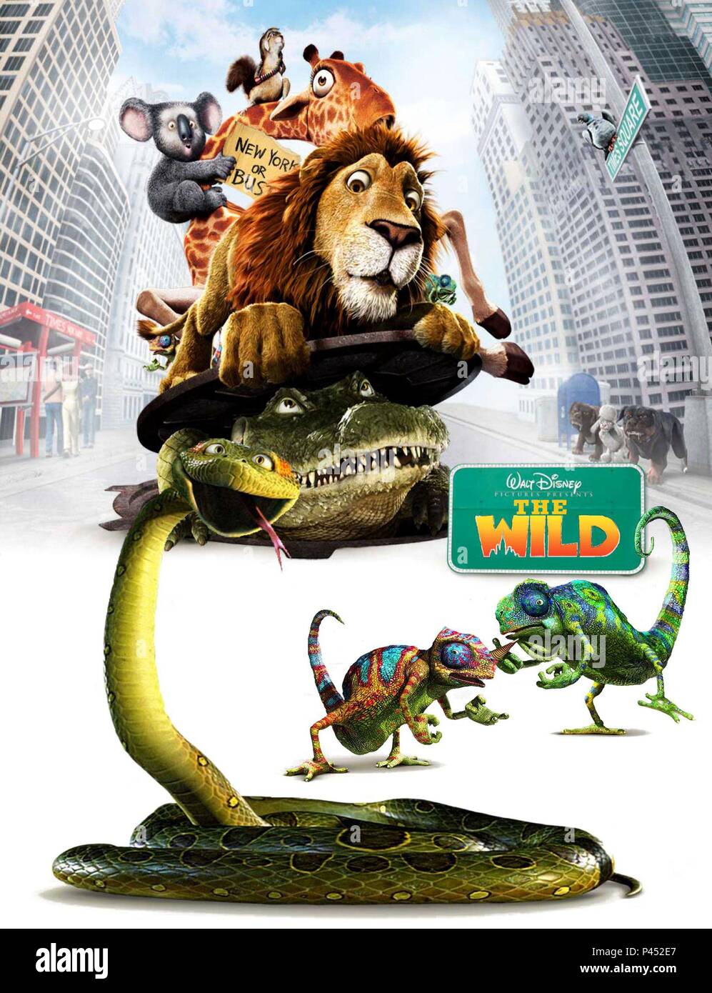 Original Film Title: WILD, THE. English Title: WILD, THE. Film Director ...