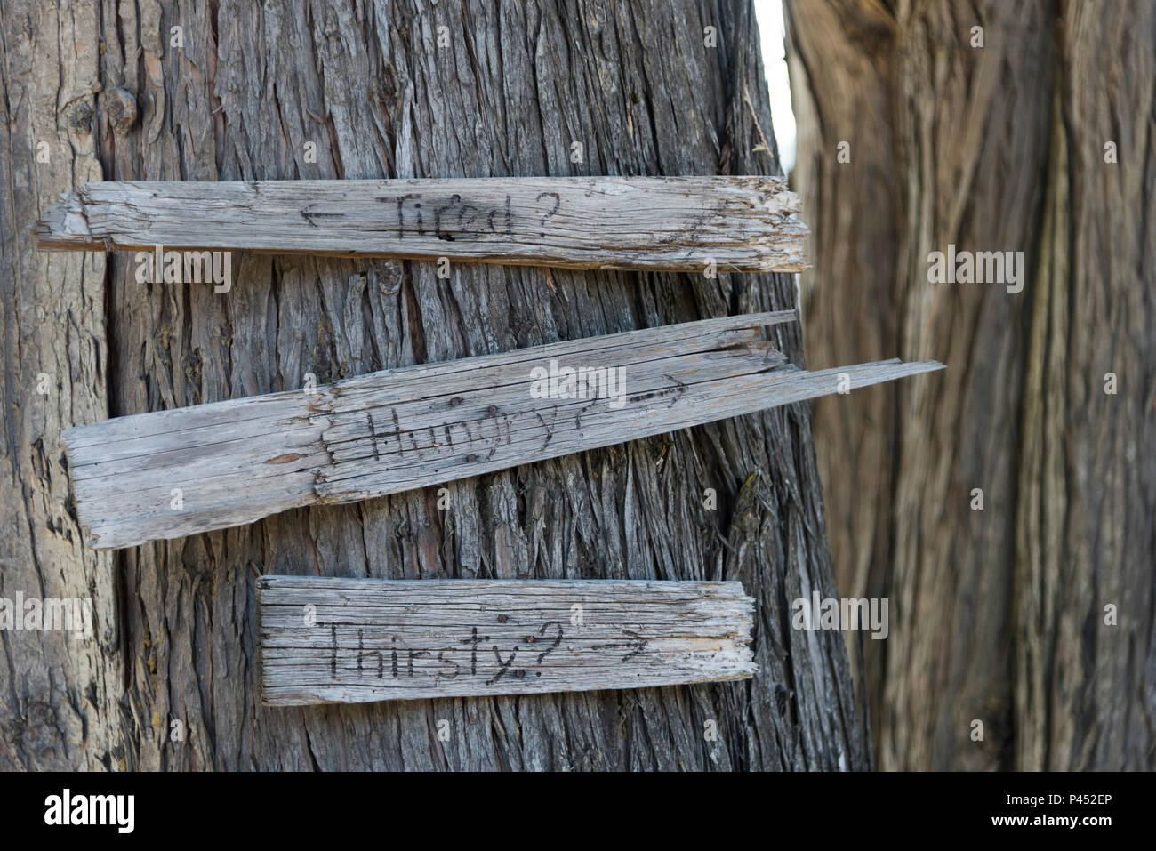 Signs on tree hi-res stock photography and images - Alamy