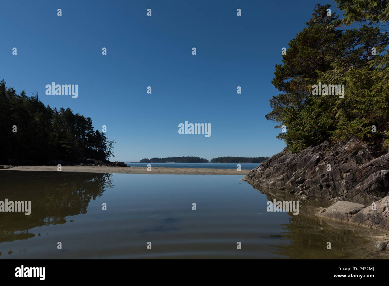 Reflection of trees along shoreline, Tonquin Beach, Tofino, Vancouver ...