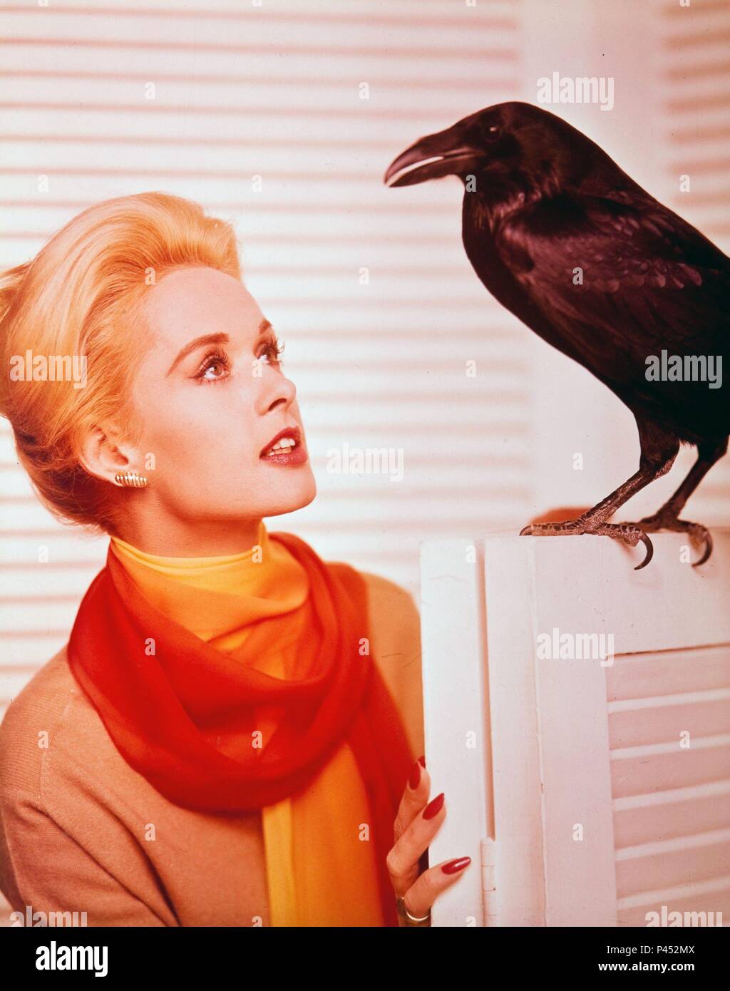 The raven 1963 hi-res stock photography and images - Alamy