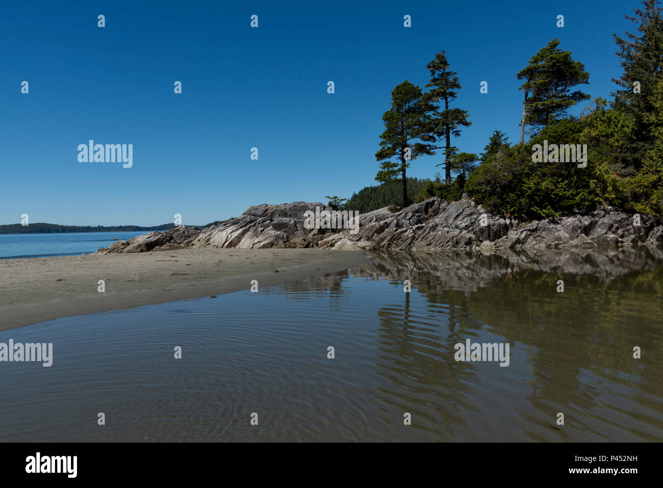 Reflection of trees along shoreline, Tonquin Beach, Tofino, Vancouver ...