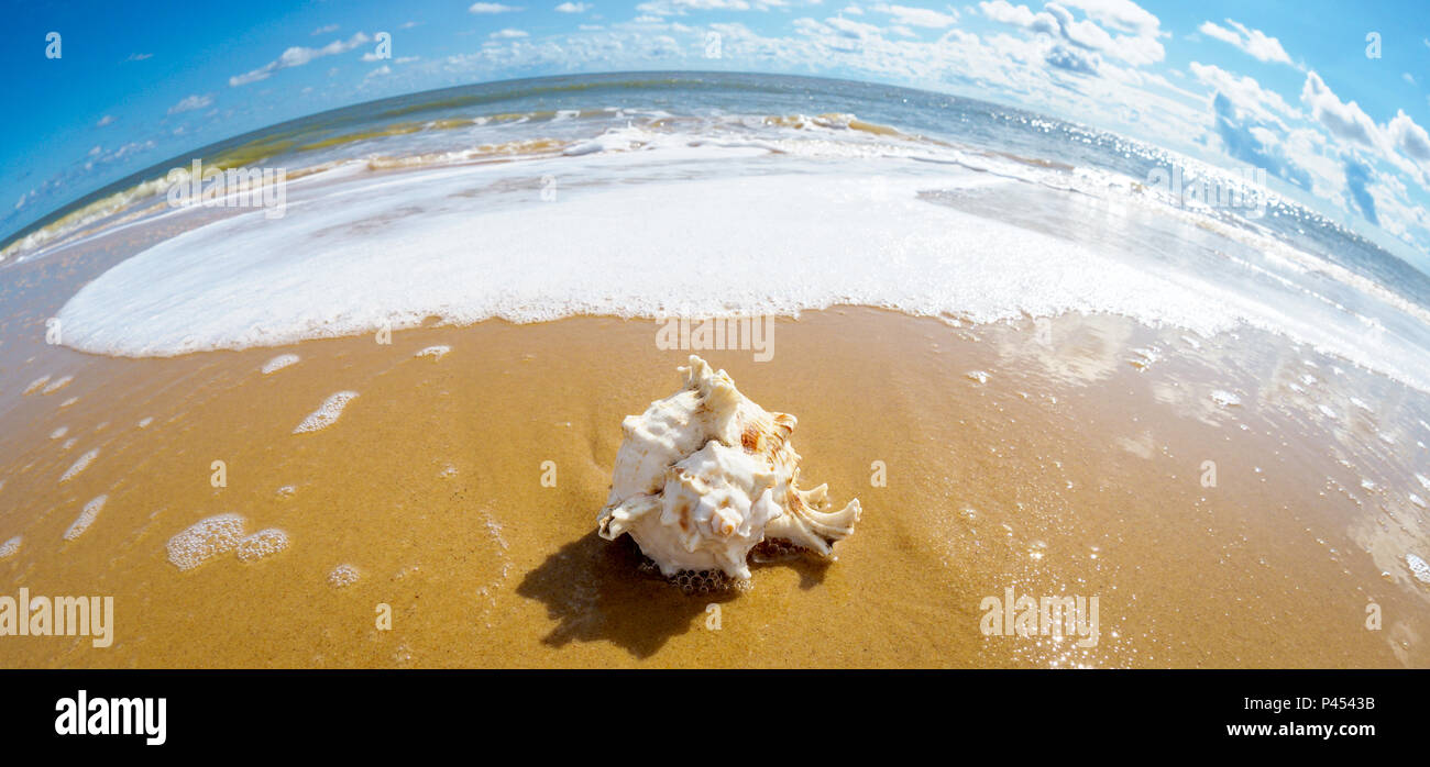 Lens distortion hi-res stock photography and images - Alamy