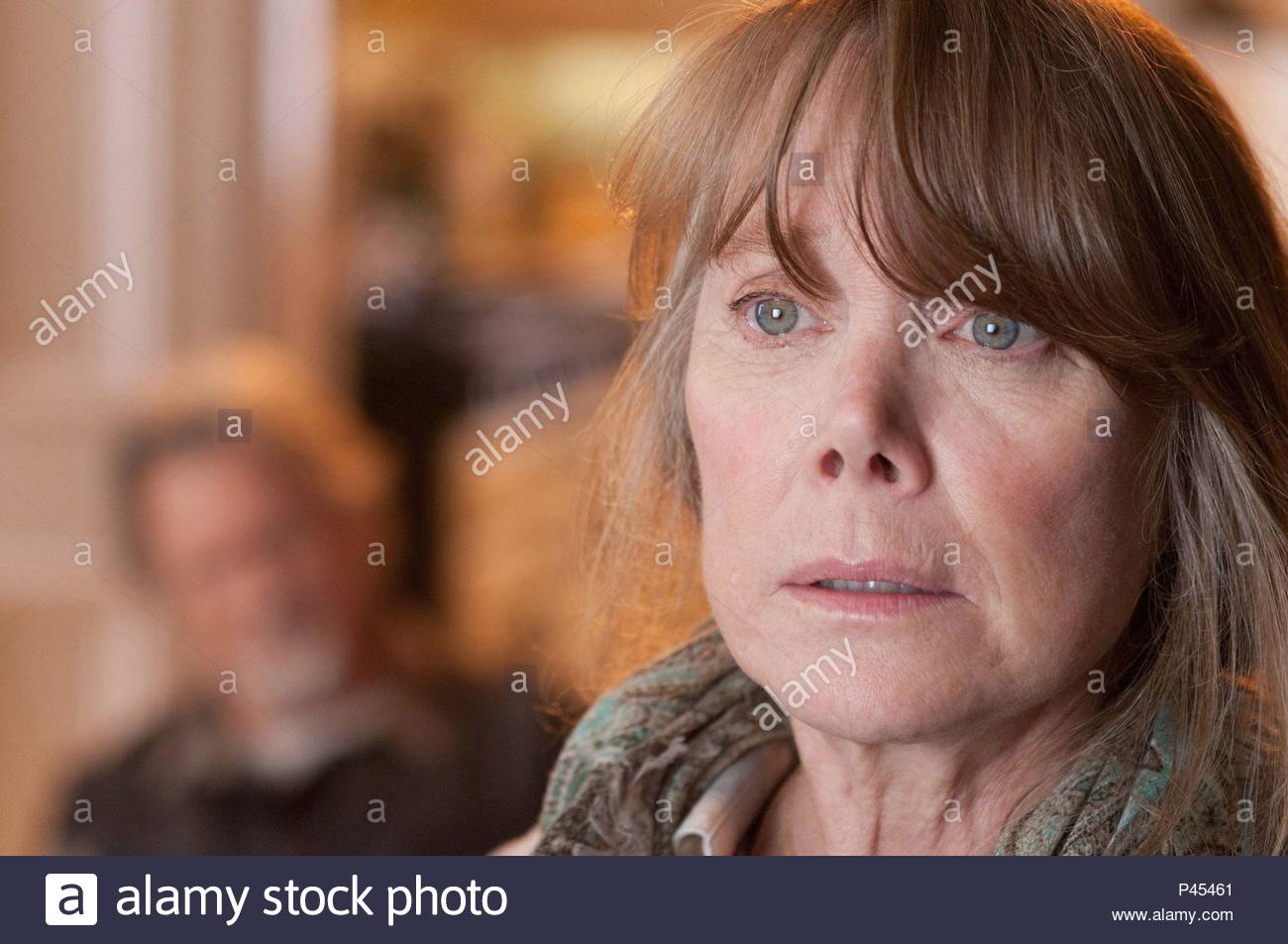 Deadfall Stock Photos & Deadfall Stock Images - Alamy