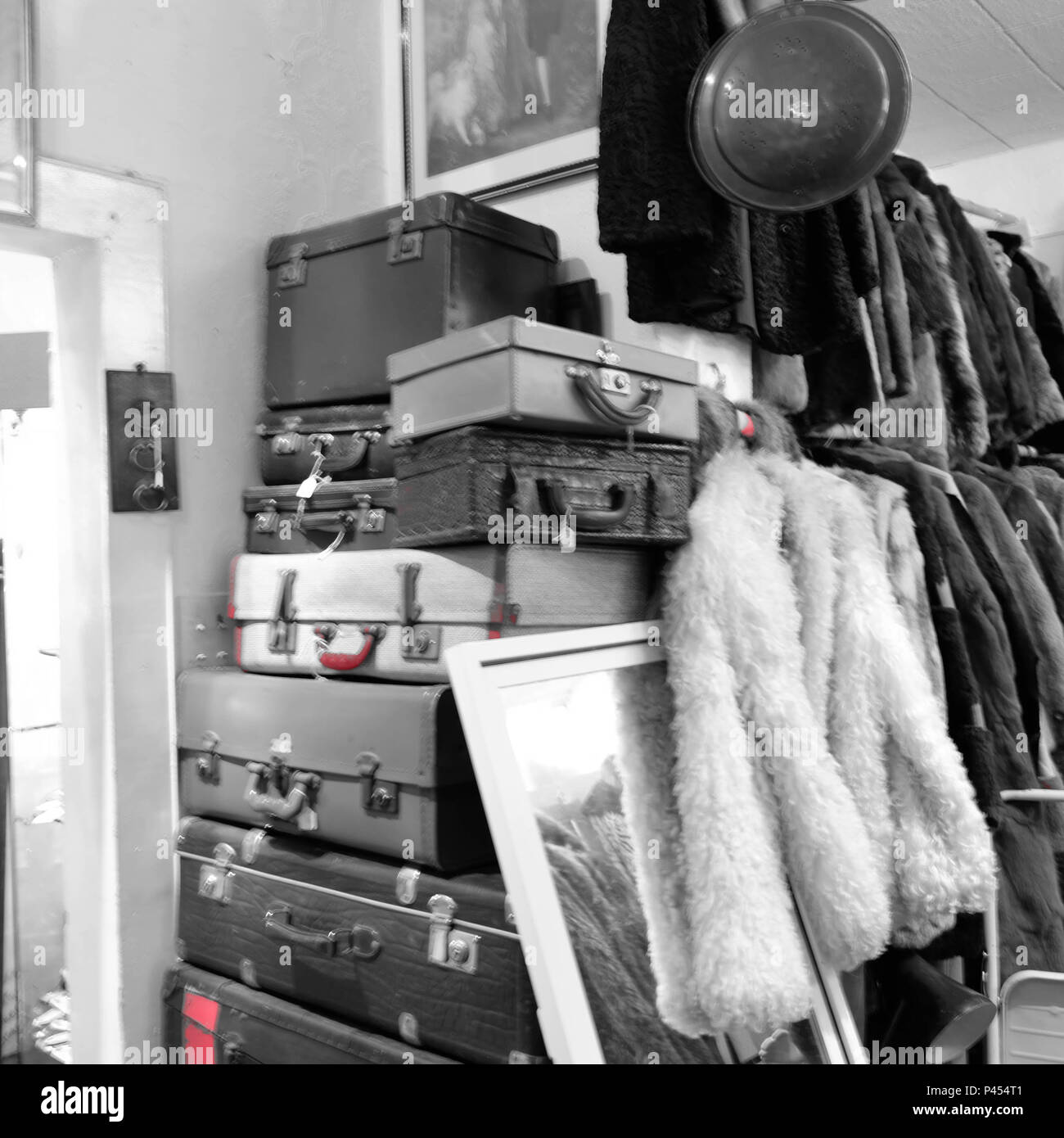 Flea dart hi-res stock photography and images - Alamy