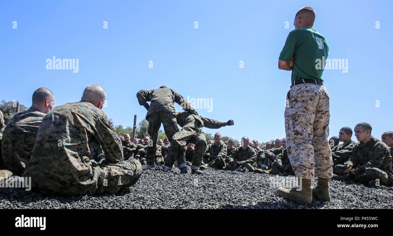 Recruits of Alpha Company, 1st Recruit Training Battalion, demonstrate ...