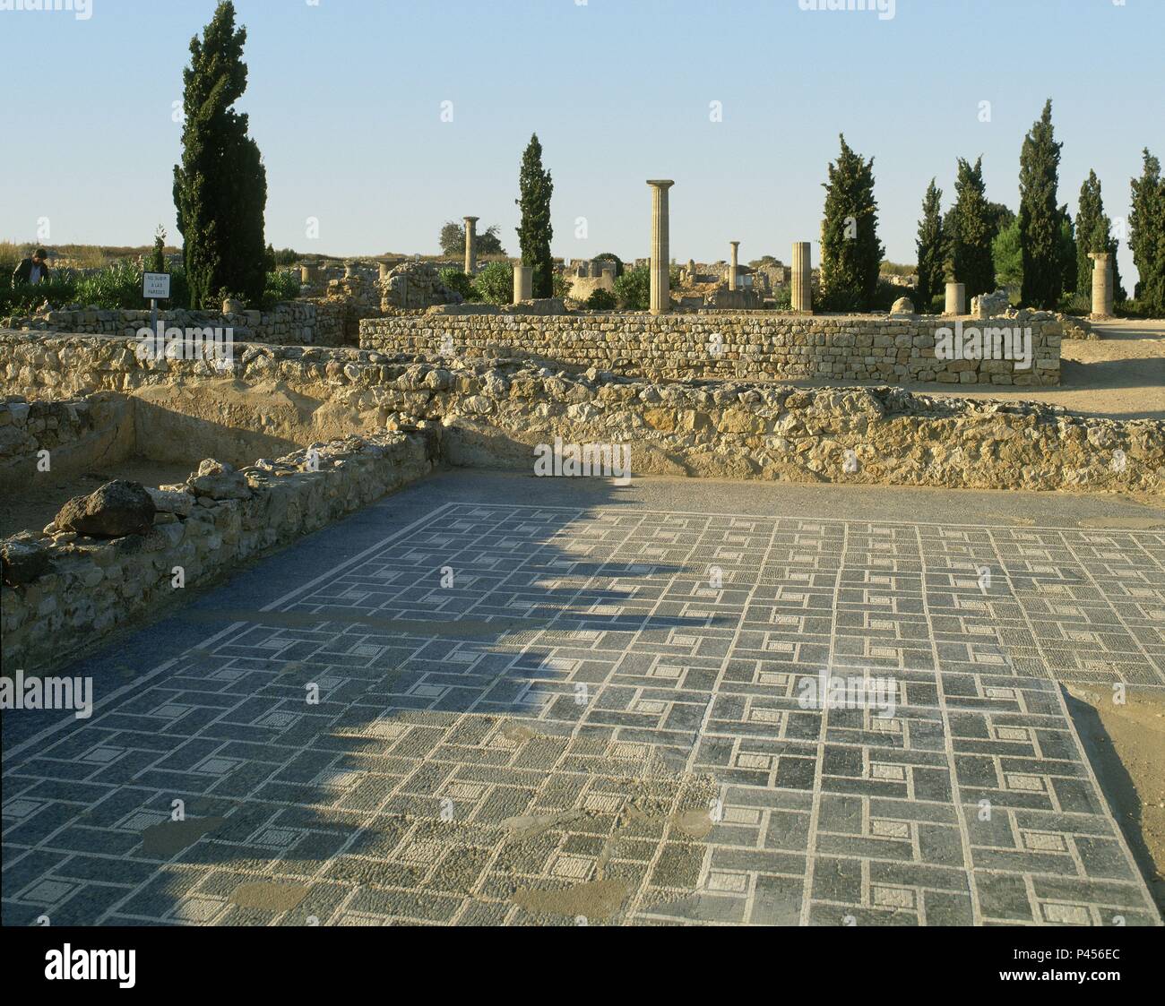 Primer romano hi-res stock photography and images - Alamy