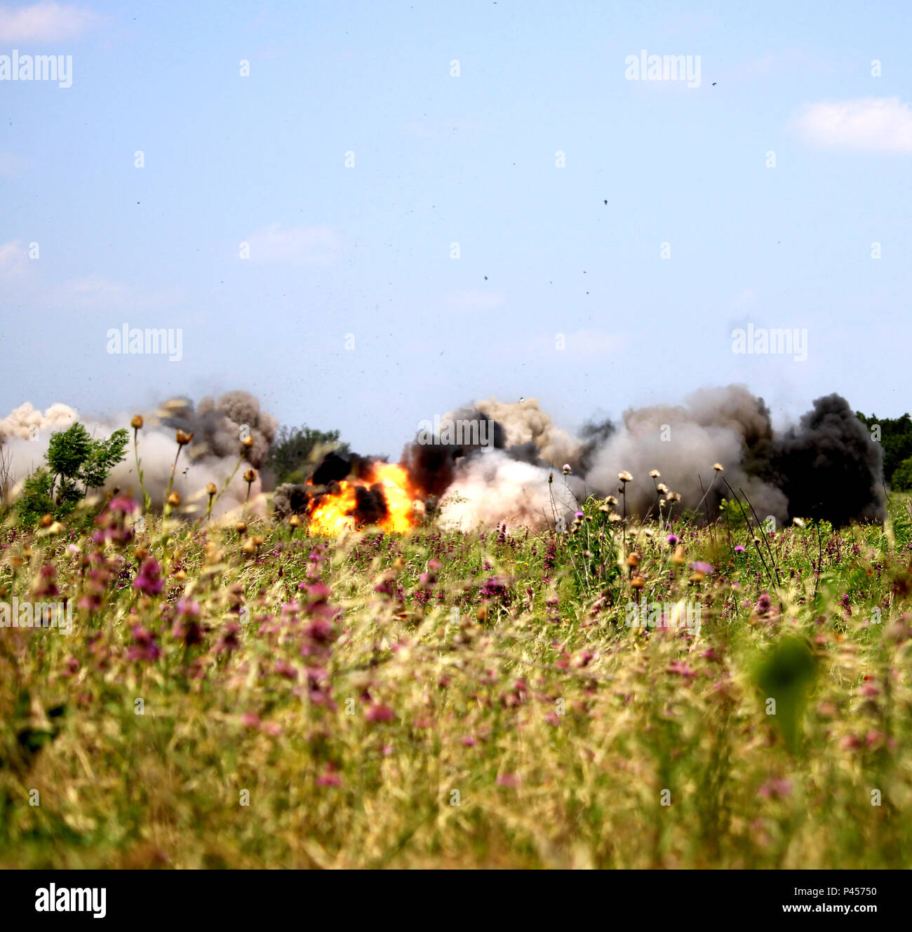 Soldiers of Company B, Special Troops Battalion, 155th Armored Brigade ...