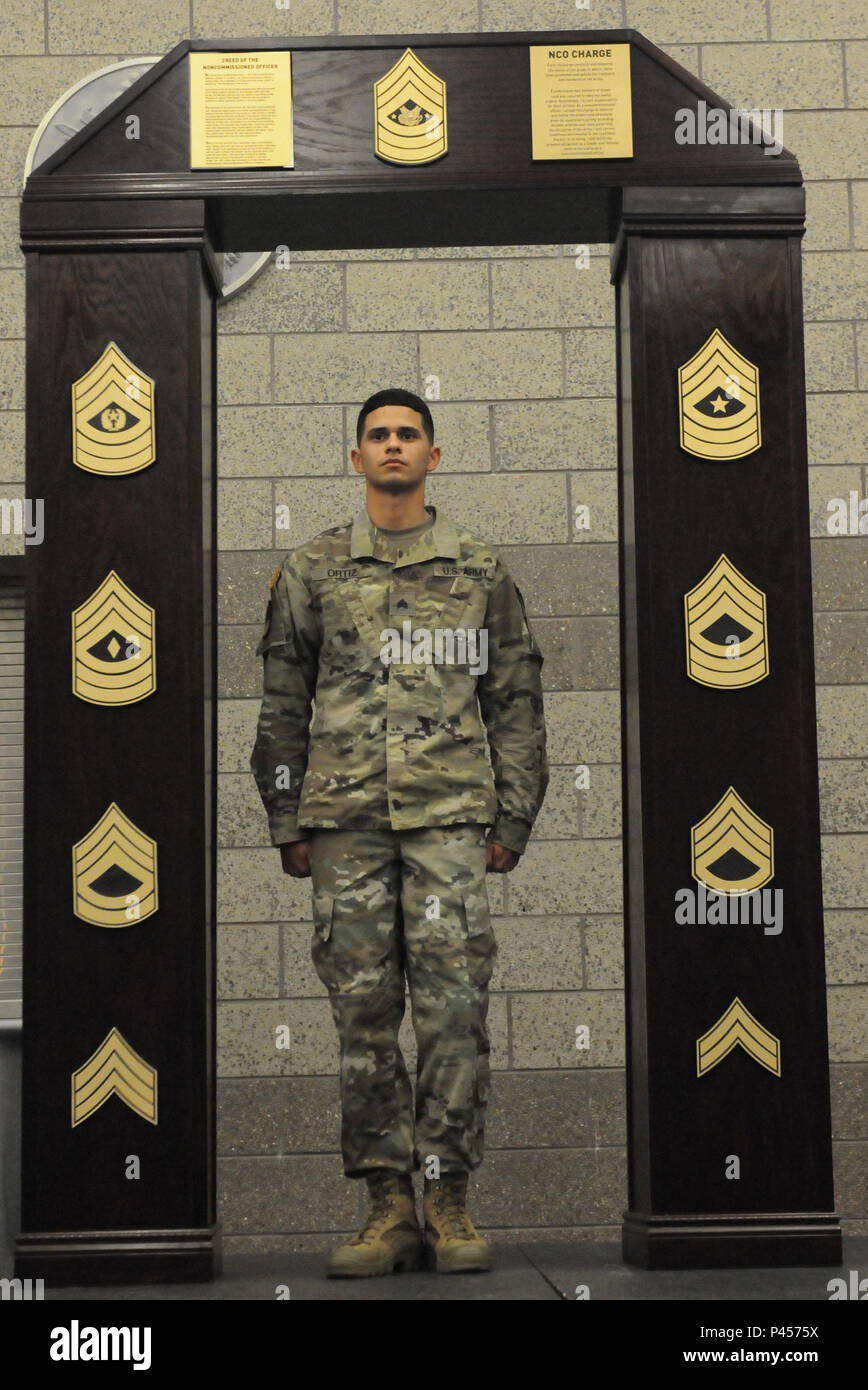 Army Reserve Sgt. Jomael Ortizperez stands under the 310th ESC NCO arch ...