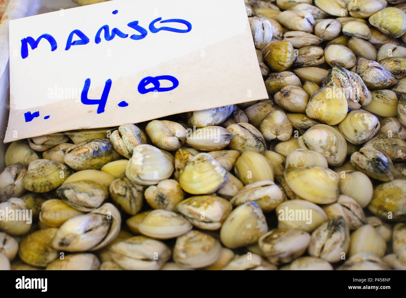 Marisco durante Pesca. SÃƒO PAULO/SP, Brasil 24/09/2013. (Foto: David ...