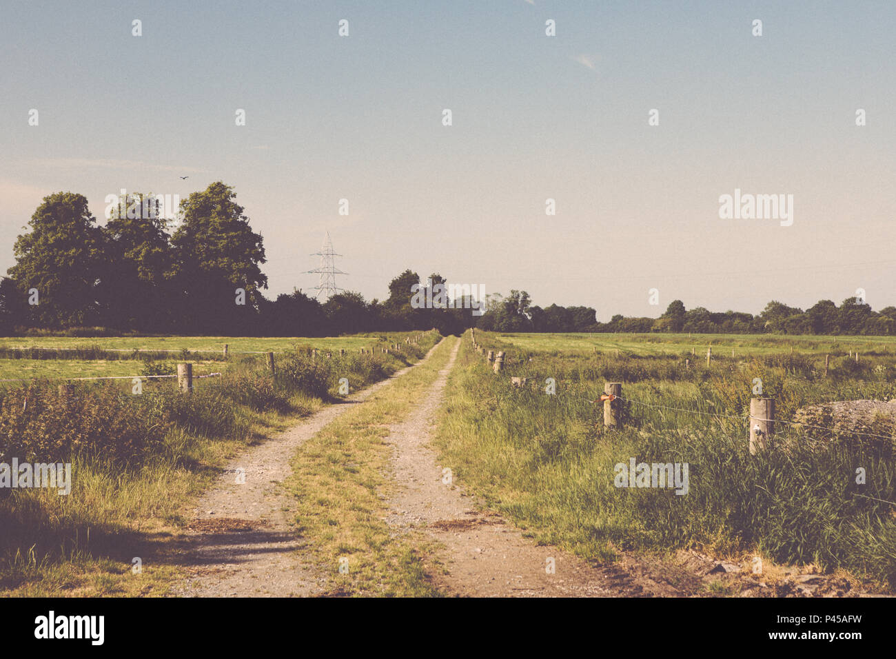 Irish country lane hi-res stock photography and images - Alamy