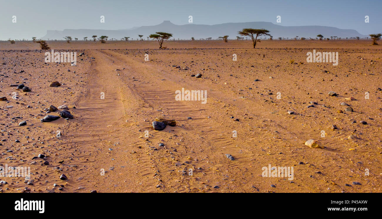 The Moroccan desert near Foum Zguid in the south of Morocco Stock Photo ...