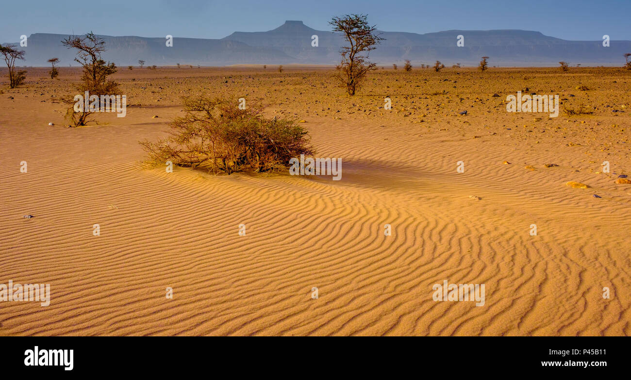 The Moroccan desert near Foum Zguid in the south of Morocco Stock Photo ...