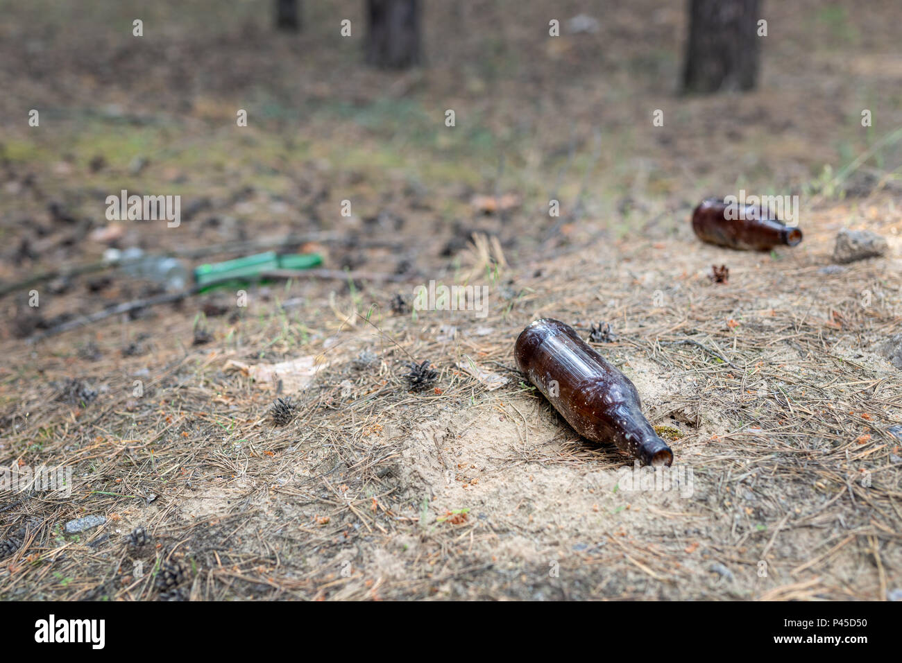 Glass bottles and waste thrown in pinewood. . Environmental pollution ...