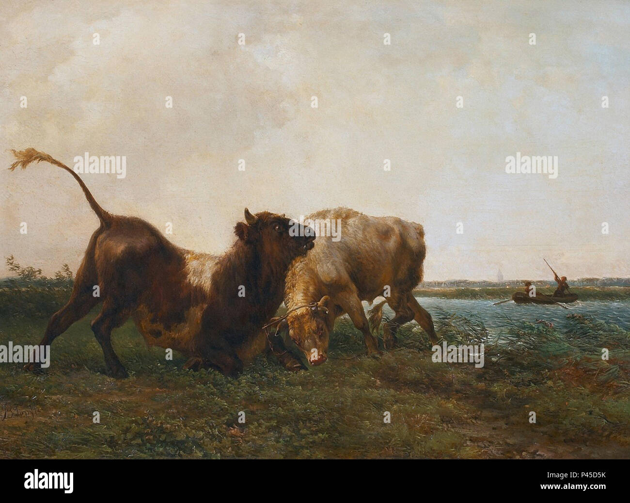 Stieren hi-res stock photography and images - Alamy