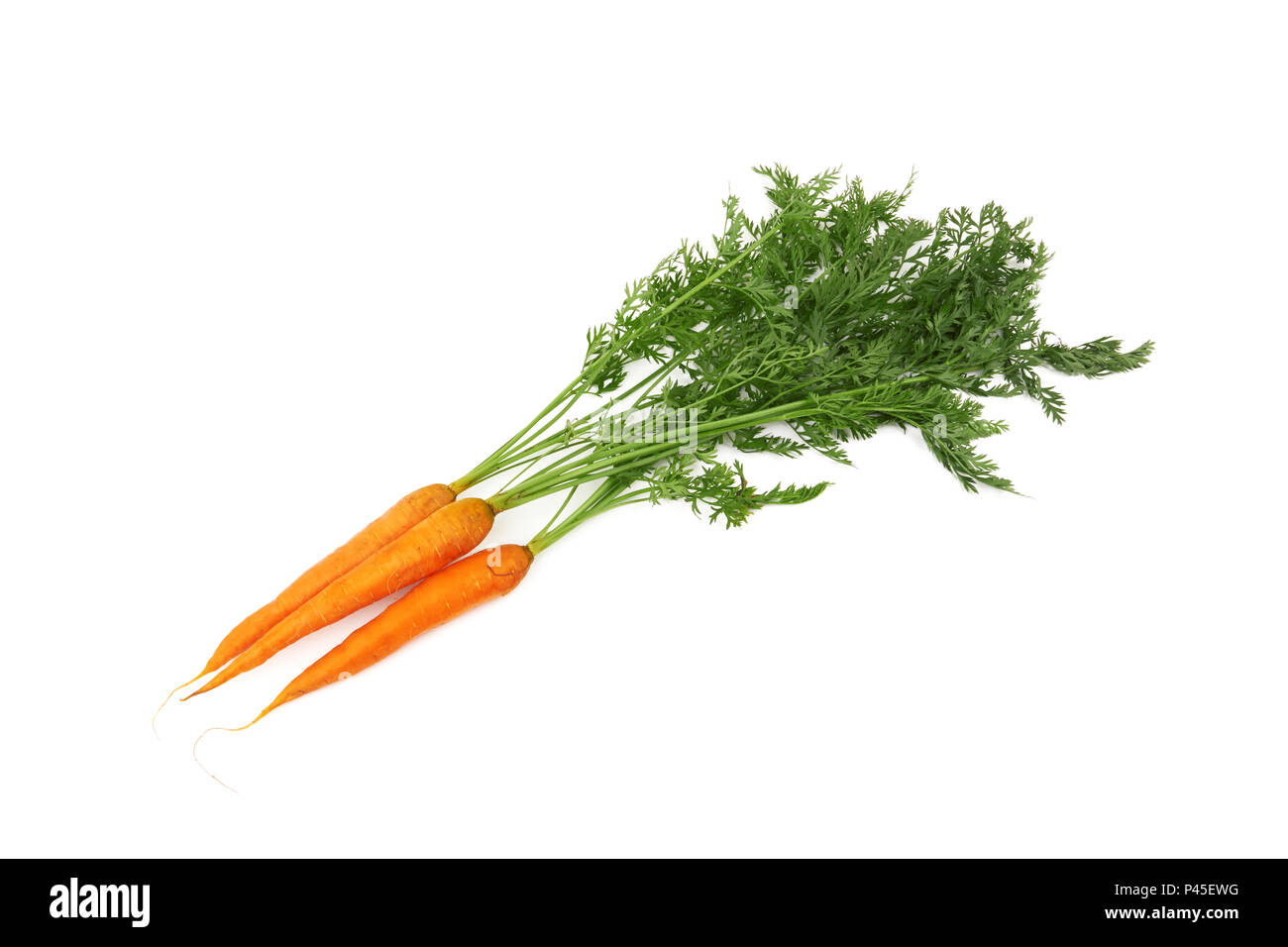 carrot bunch with green leaves, isolated on white Stock Photo - Alamy