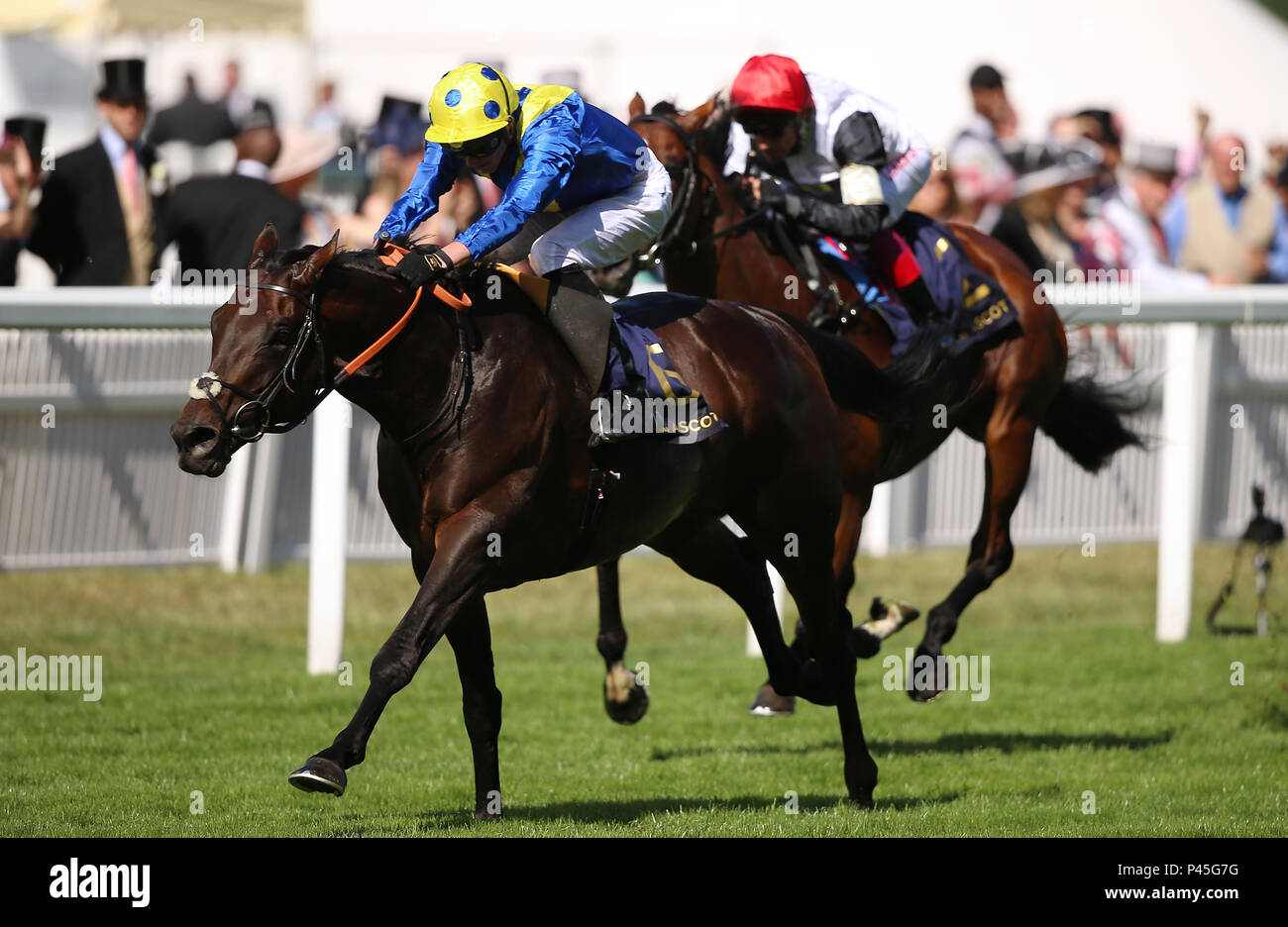 Poets word hi-res stock photography and images - Alamy