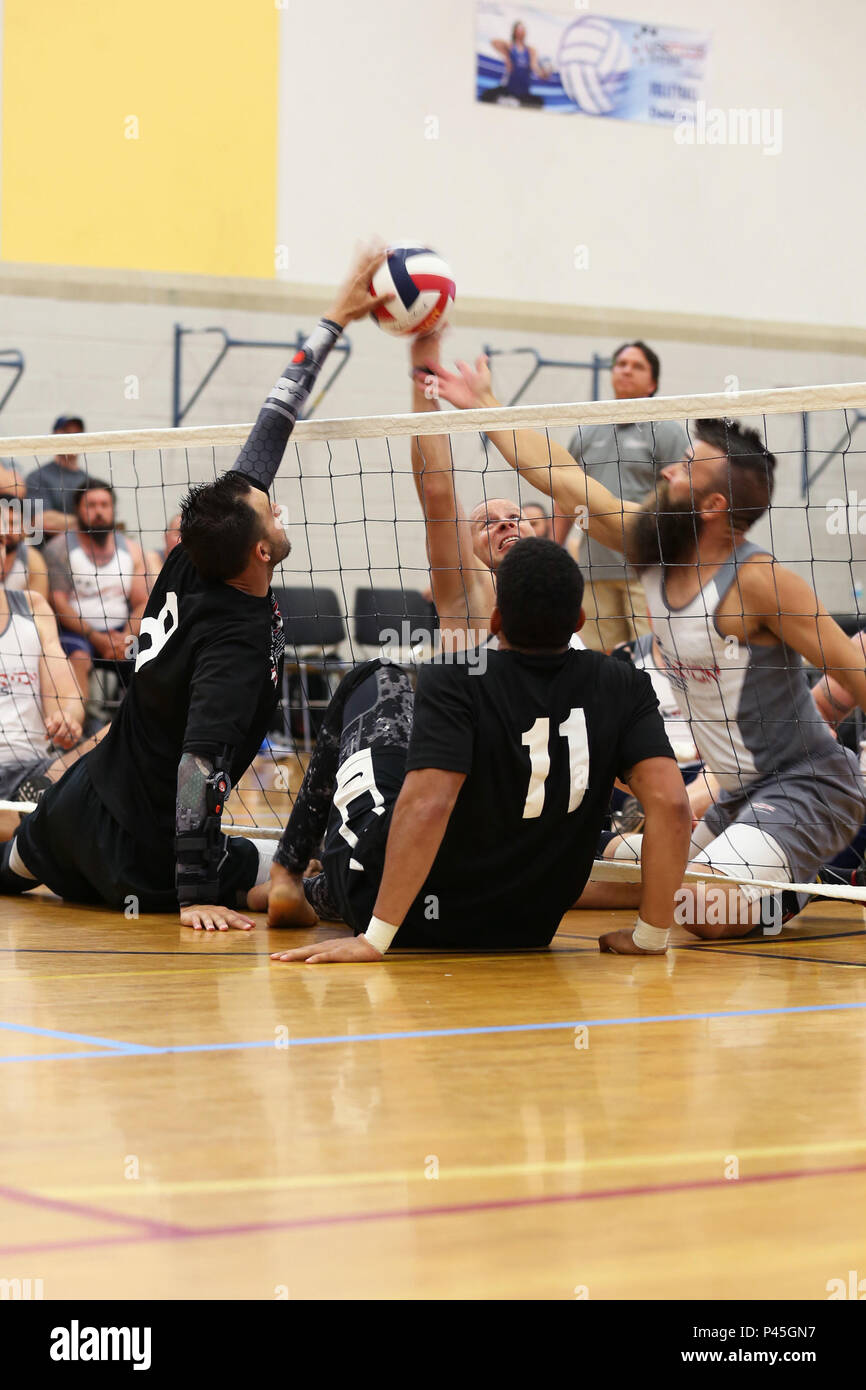 Team Army athletes participate in a sitting volleyball match against ...